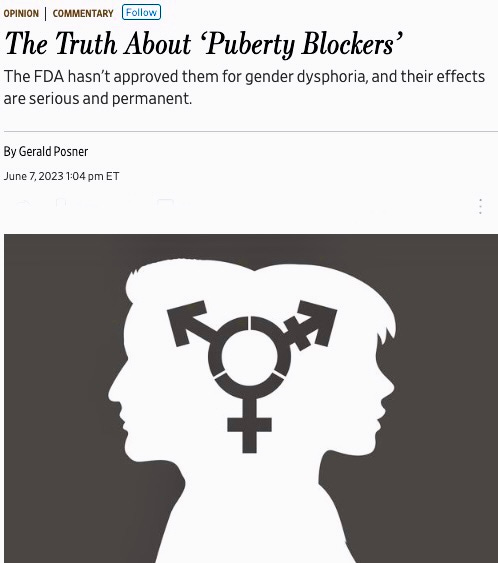 The Truth About "Puberty Blockers"