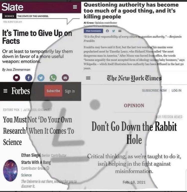 What Noam Chomsky Can Teach Us About Freedom of Speech – An anarchist journal of heresy and ...