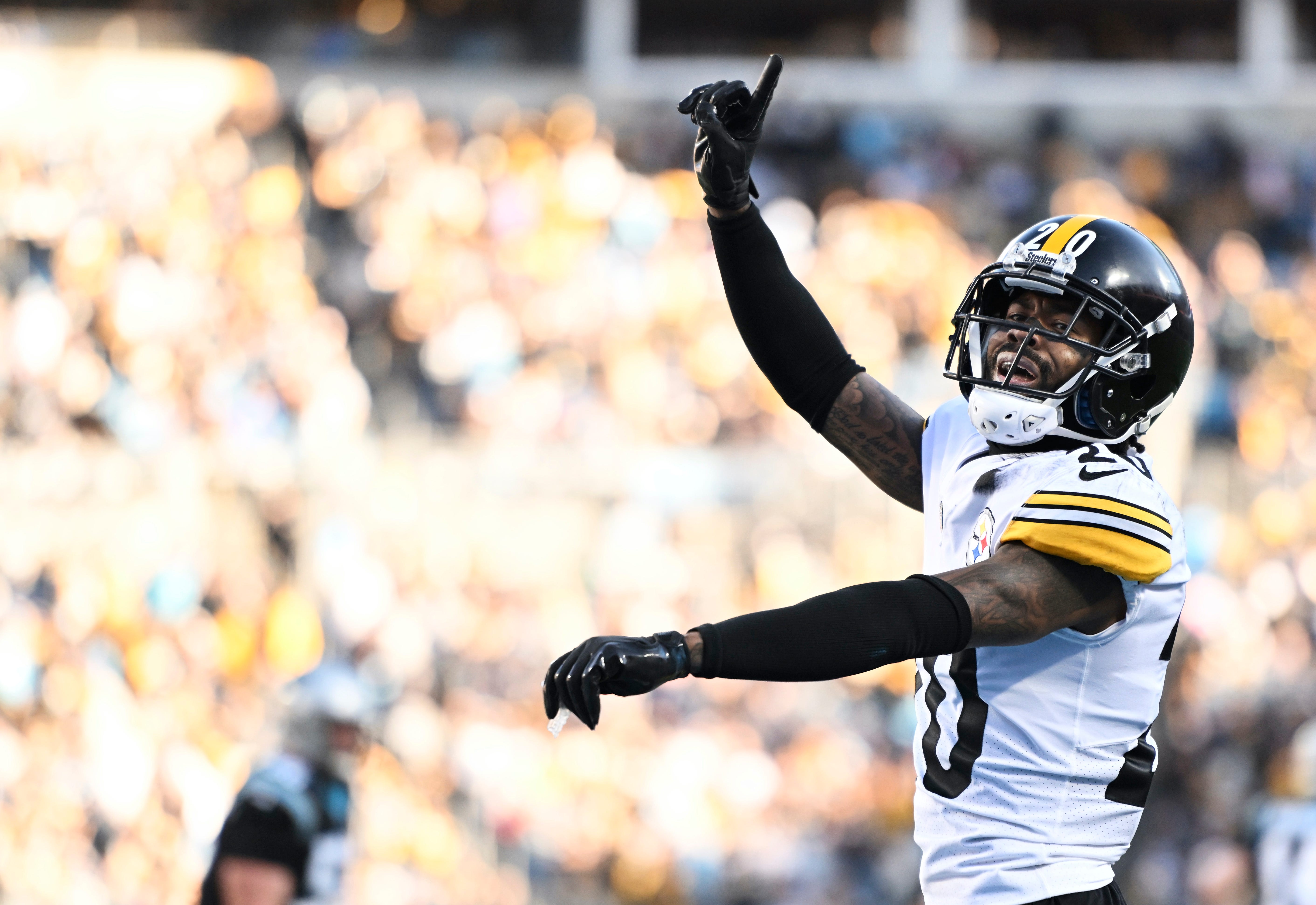 DNA of the Lions, Part II: The obsessed ones