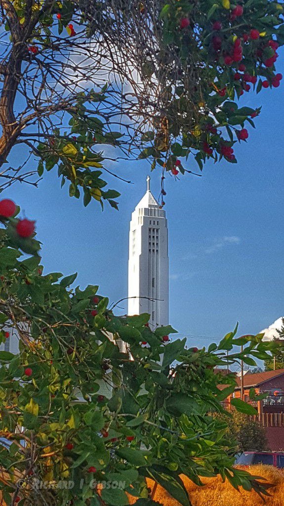 Throwbacks: The I.C. Church - by Richard I Gibson