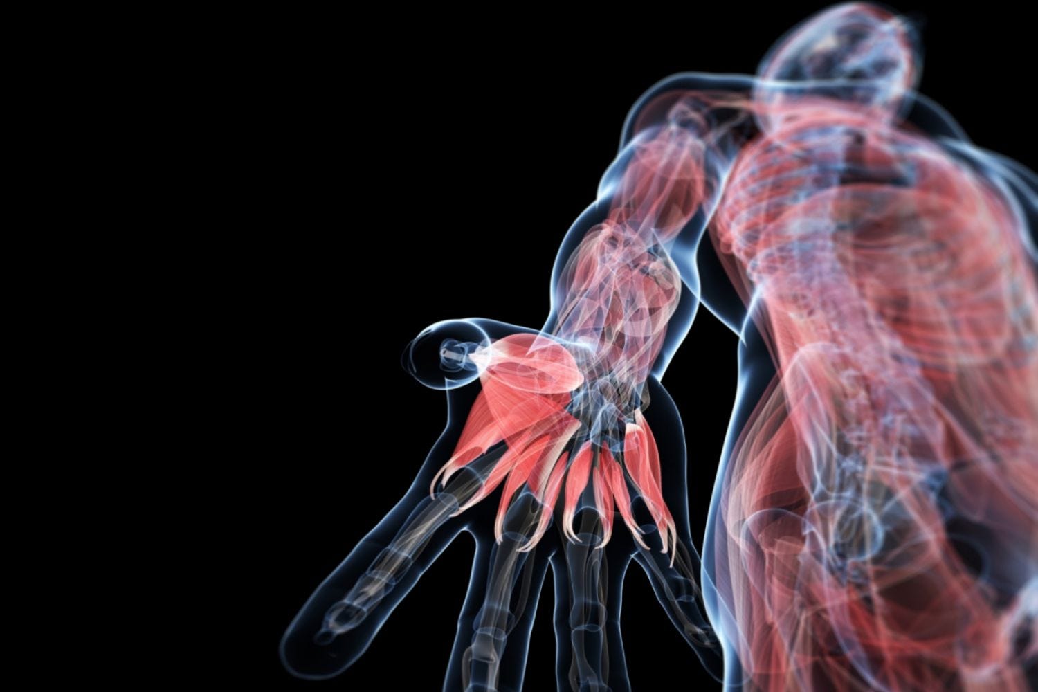 Η ανατομία ενός κρατιστή - by Nikos Maris