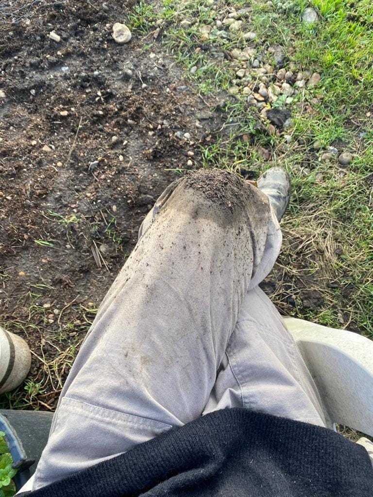 The wave - by The allotment project - Rosanna’s Substack