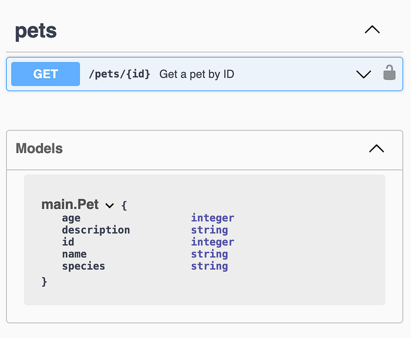 Swagger in Go: A Pragmatic Guide - by Phuong Le