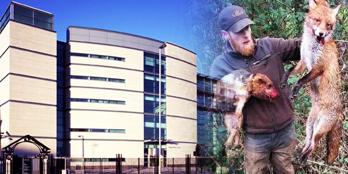 NORTHERN IRELAND: serial offender shows how court system failing animals