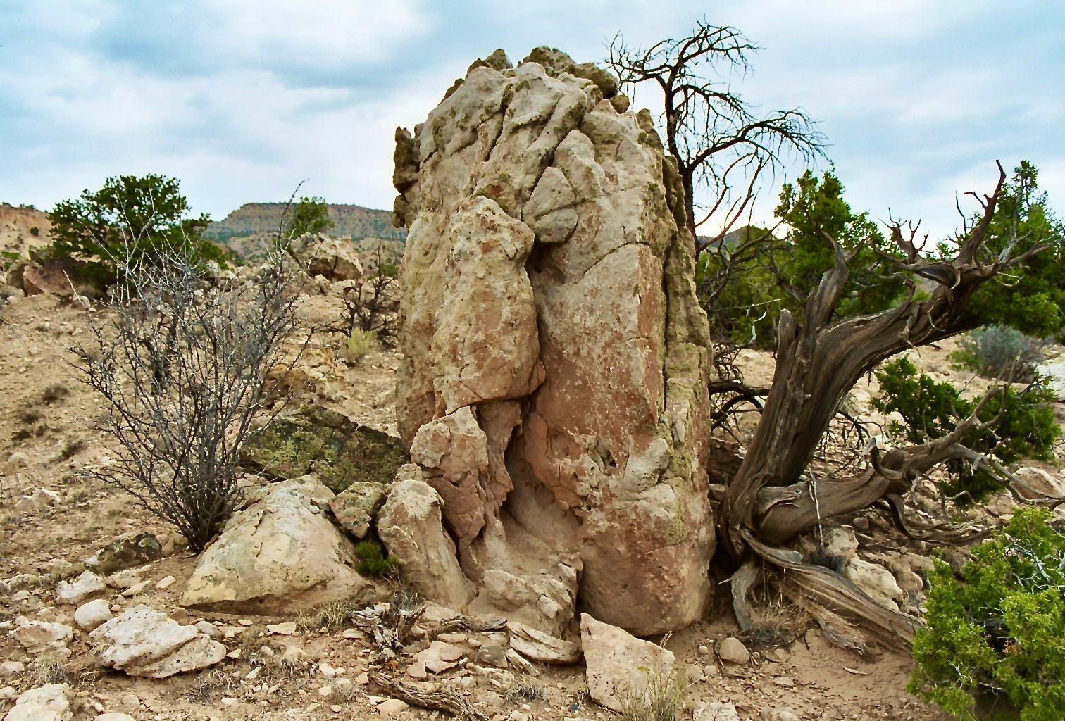 Crying for a Vision At Ghost Ranch - by Adrian Scott
