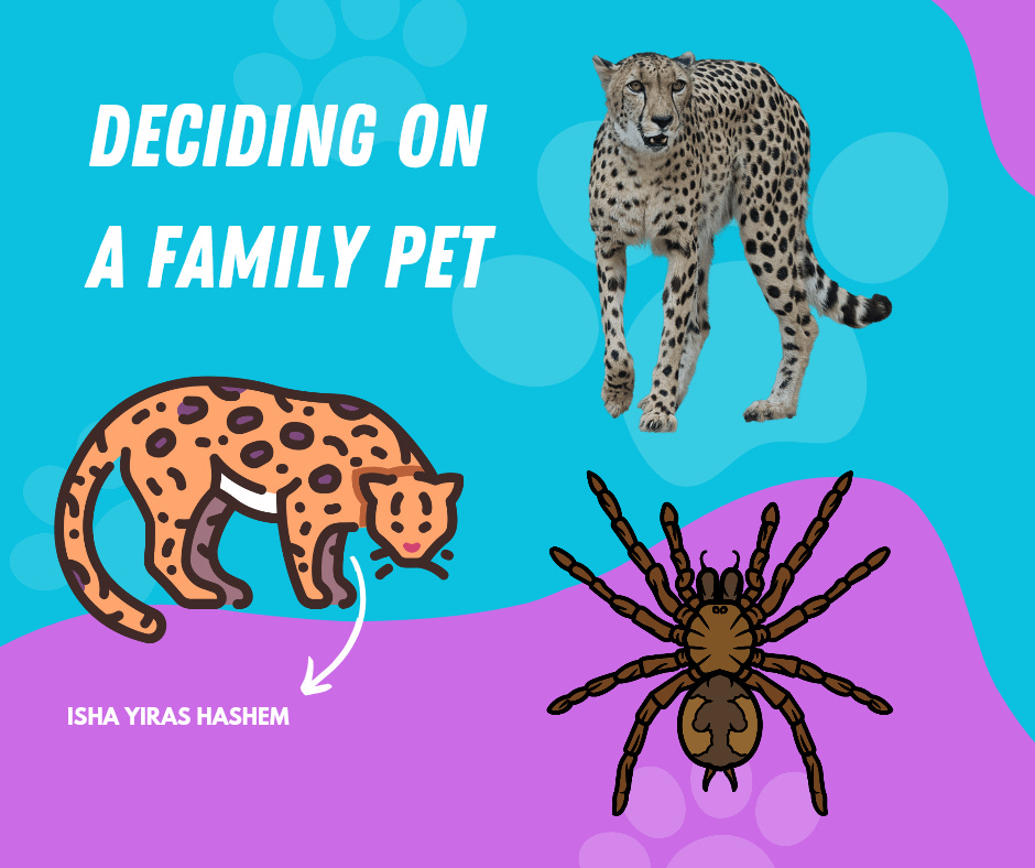 Deciding On A Family Pet - Isha Yiras Hashem at Substack