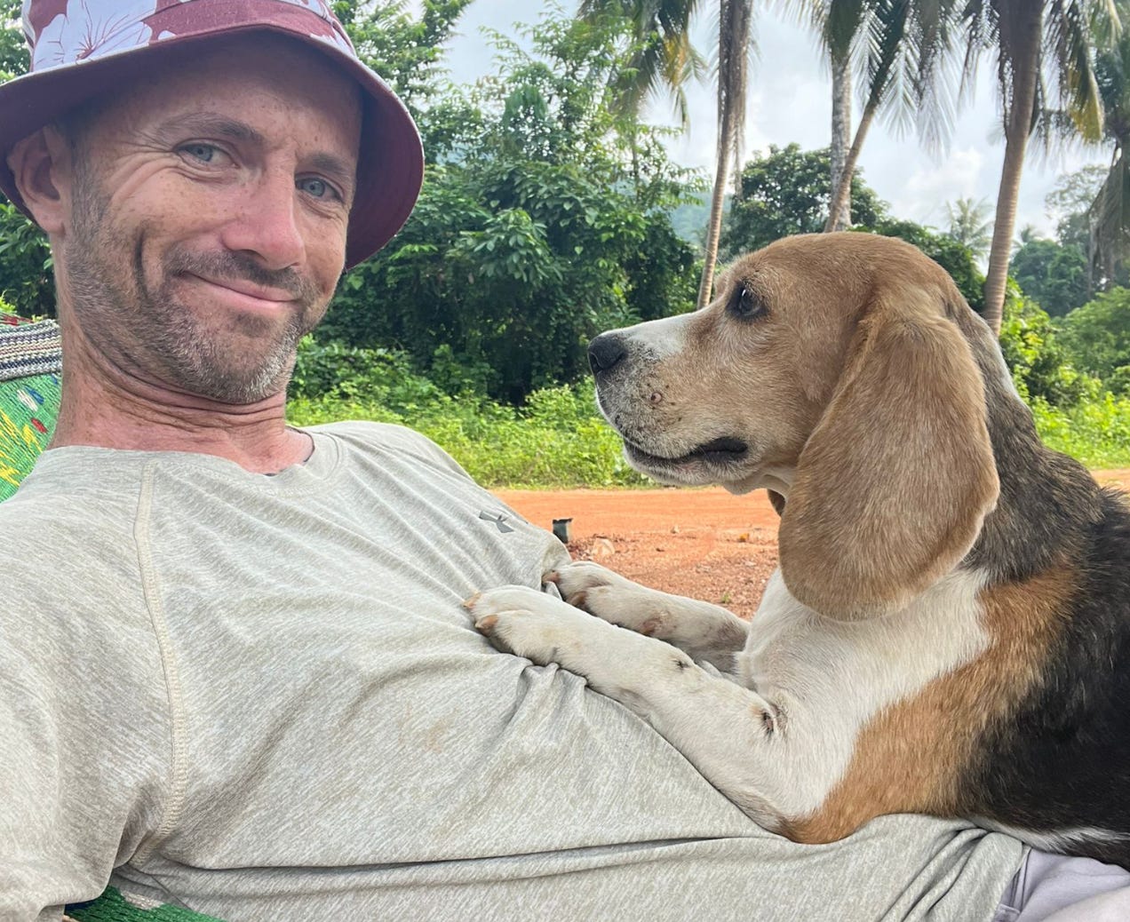 Going All In On The Dogs - by Niall Harbison - Happy Doggo