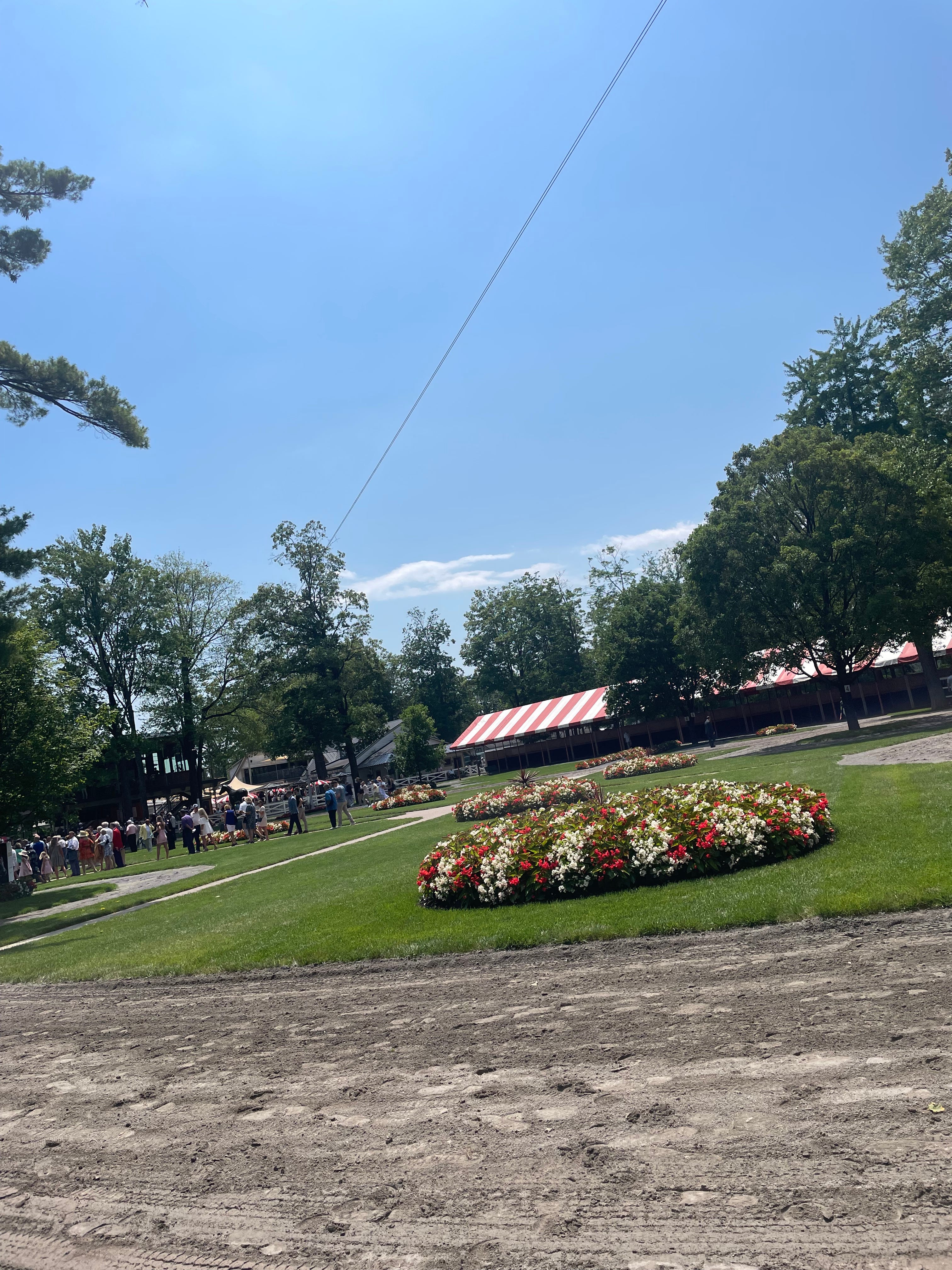 Saturday at Saratoga - by Mut (Mike Mutnansky) - MutStack