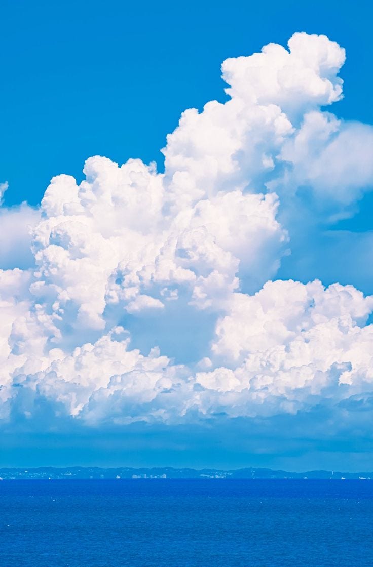 COOTIES - by Daniel Martin - Daniel’s Substack