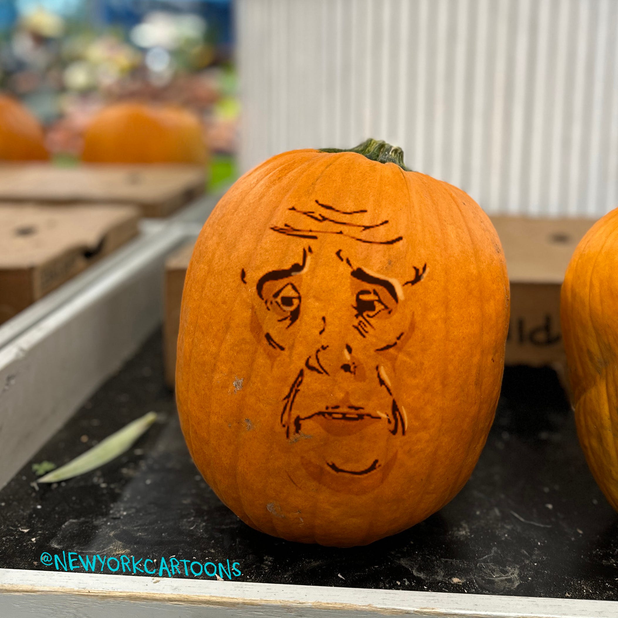 Meme-O-Lanterns - by Jason Chatfield - New York Cartoons