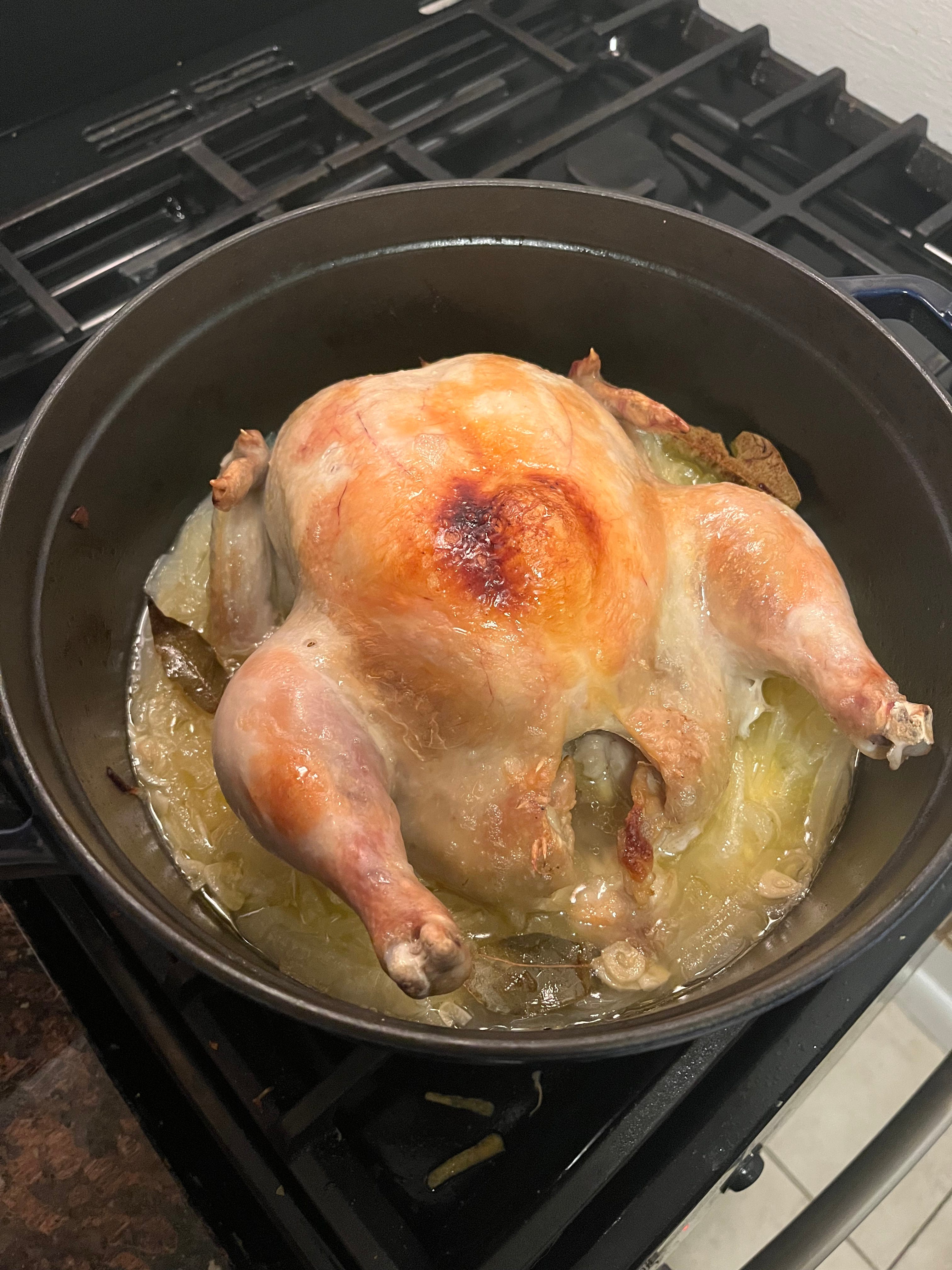 What's Cooking? Vol. 6 - by Rachel Remmes