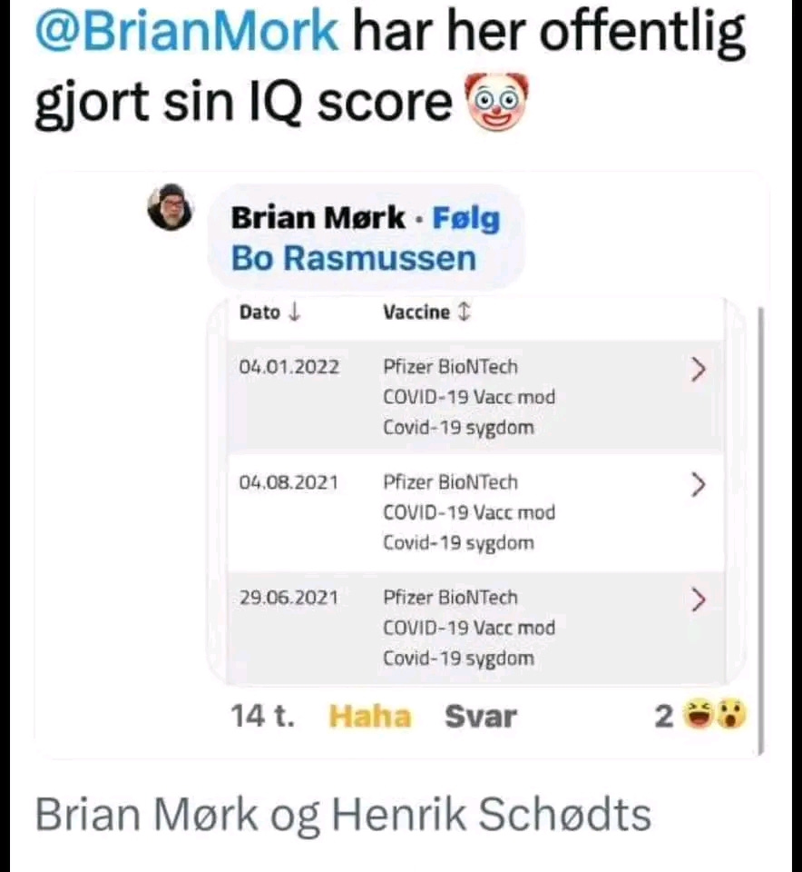 Brian Mørk's IQ Score - Niffelheim’s Substack