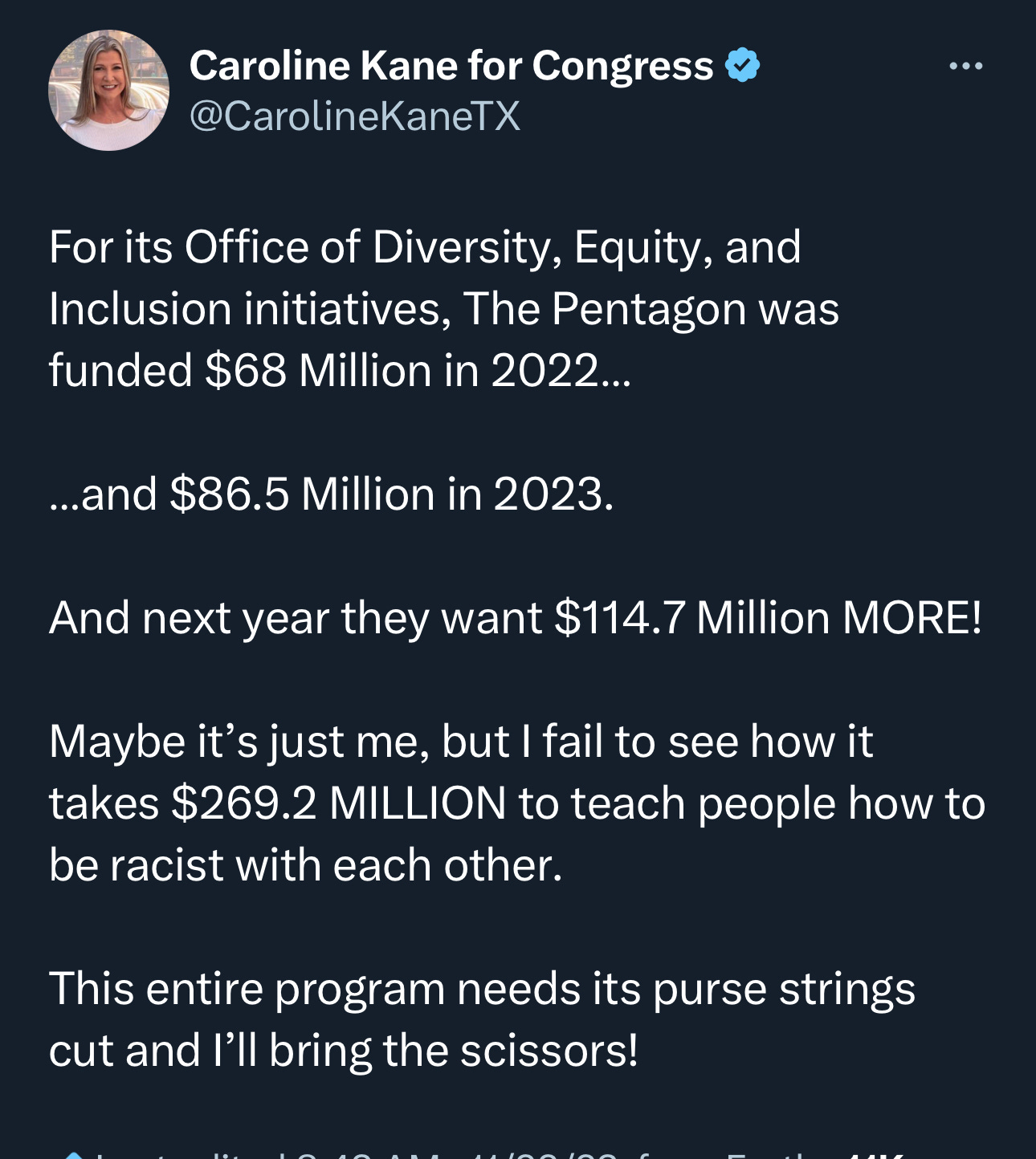 Caroline Kane for Congress - by Merissa Hansen