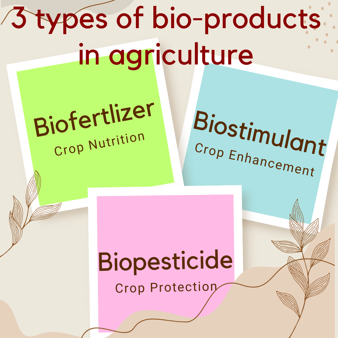 How Bio-Products are Leading the Way in Sustainable Farming