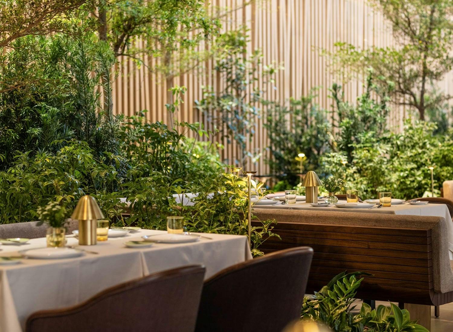 Ticketed truffles - FOUND NY