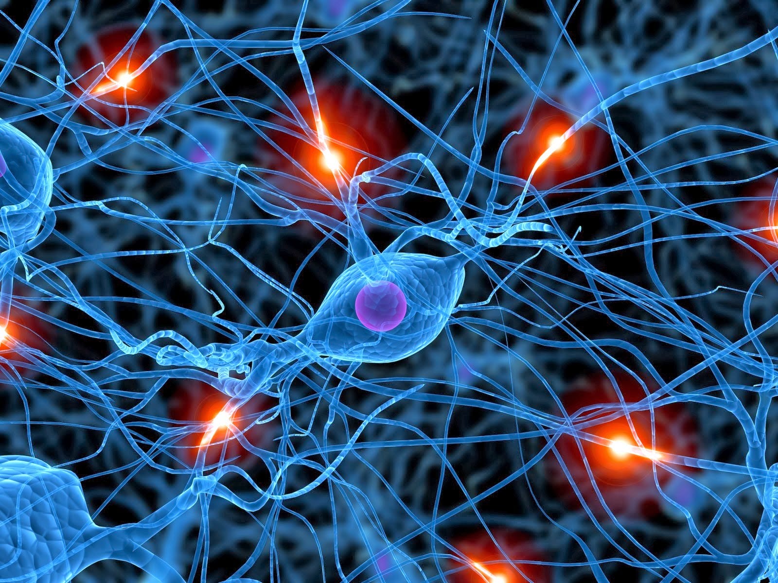 The 100 trillion neural connections. And the Serial killer.