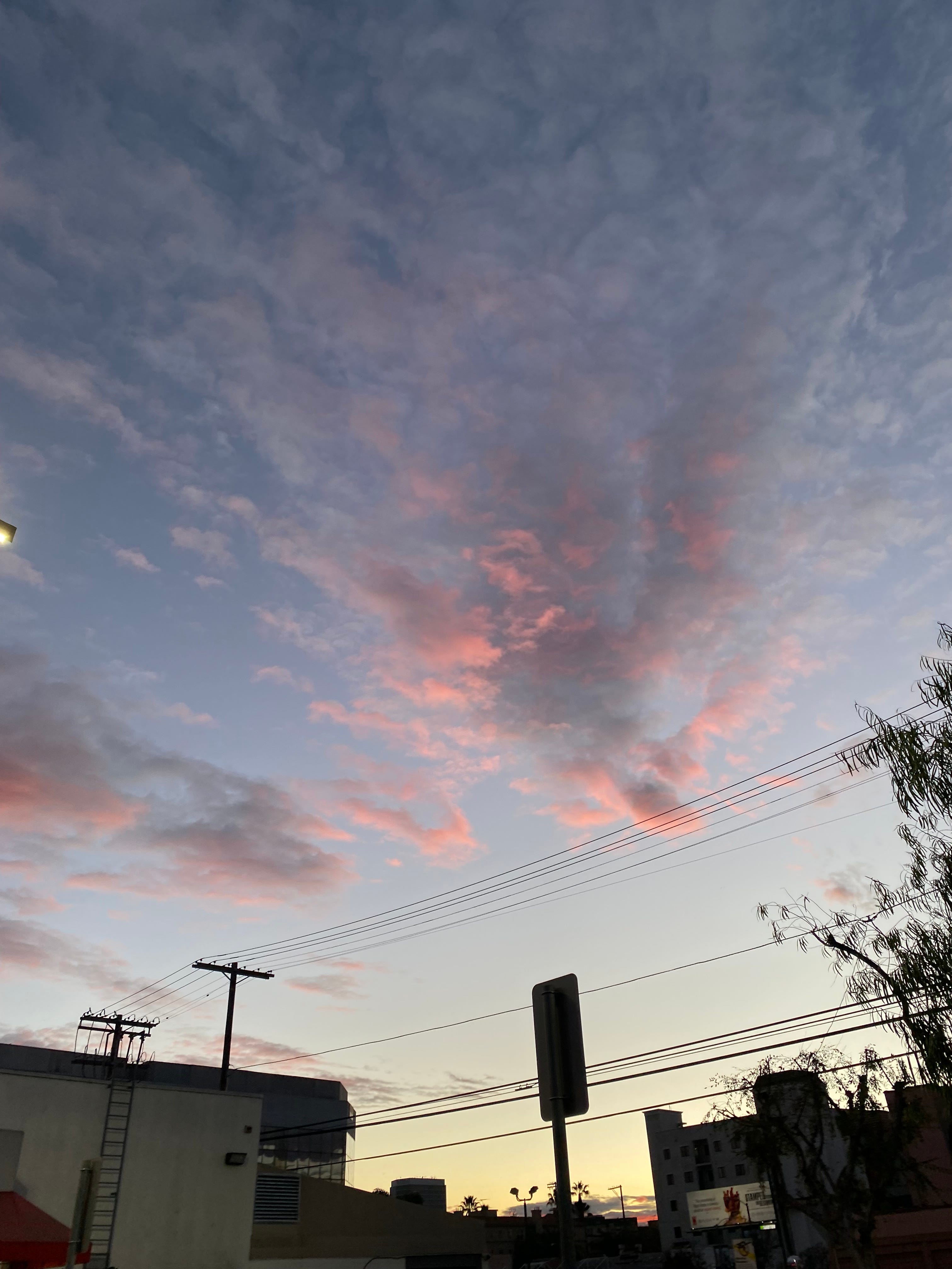 Elizabeth Aquino | Substack