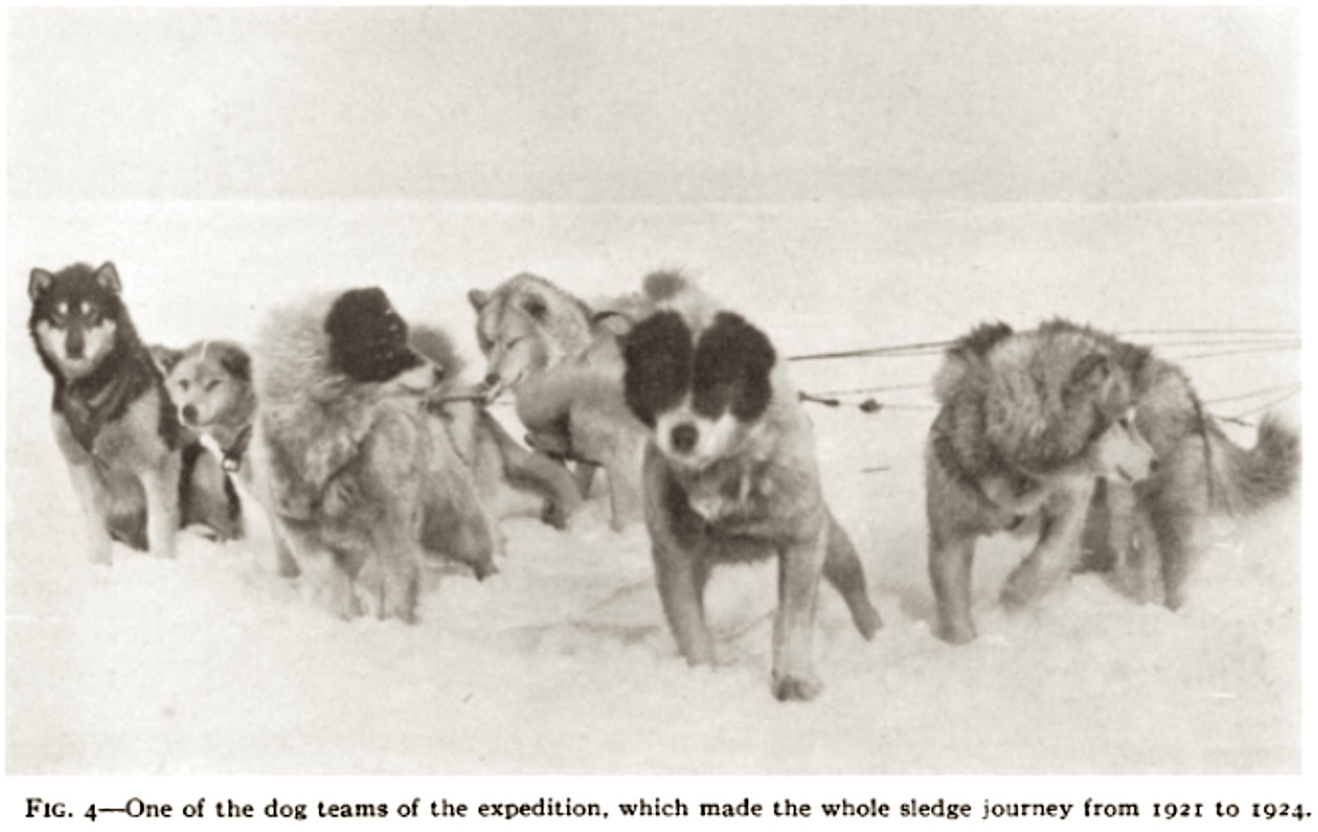 Knud Rasmussen - by Helen Hegener