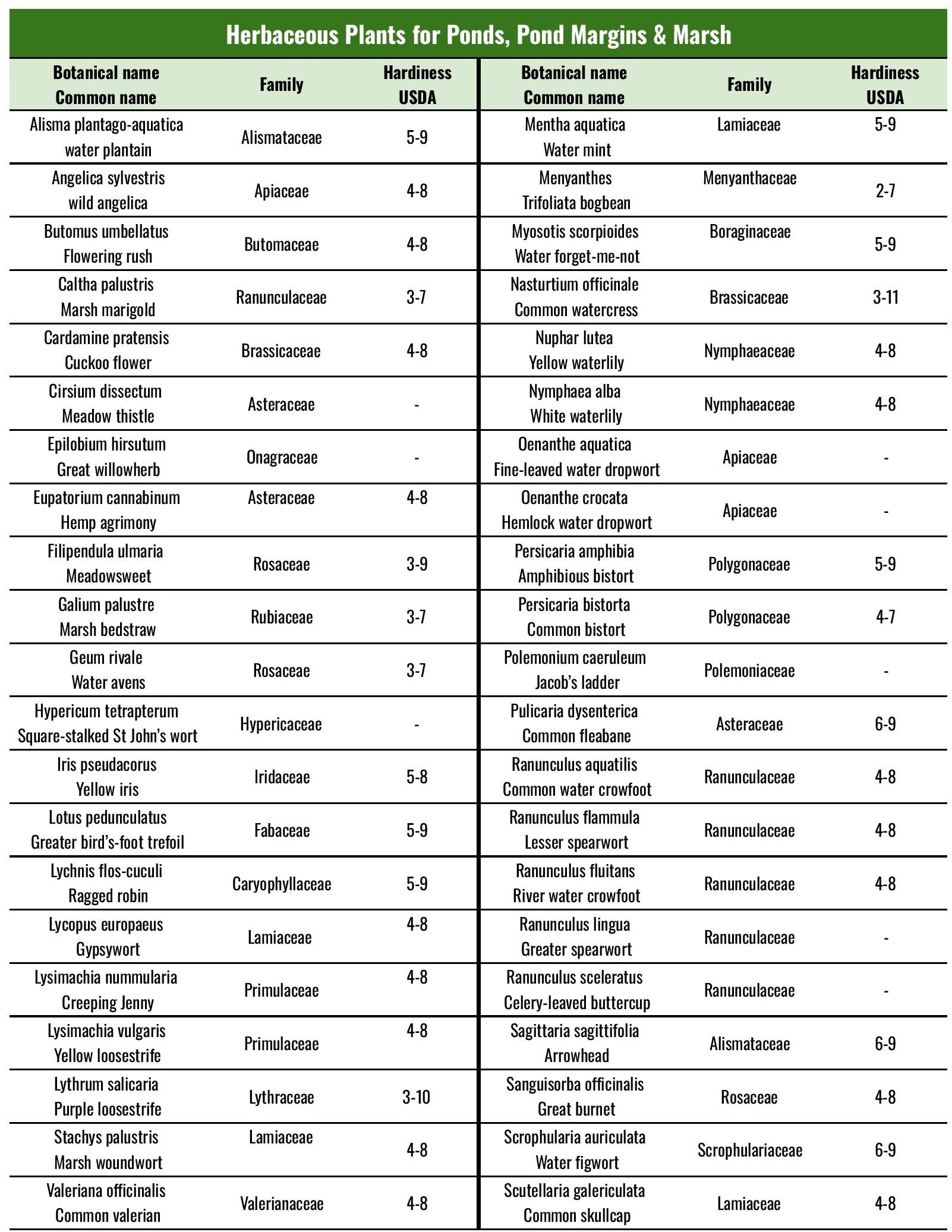 Balkan Ecology Project : Wildlife Pond Design, Planting and Management