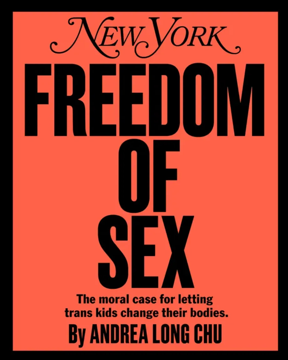 Andrea Long Chu’s ‘New York’ Cover Story About Trans Kids Is, Above All Else, Lazy