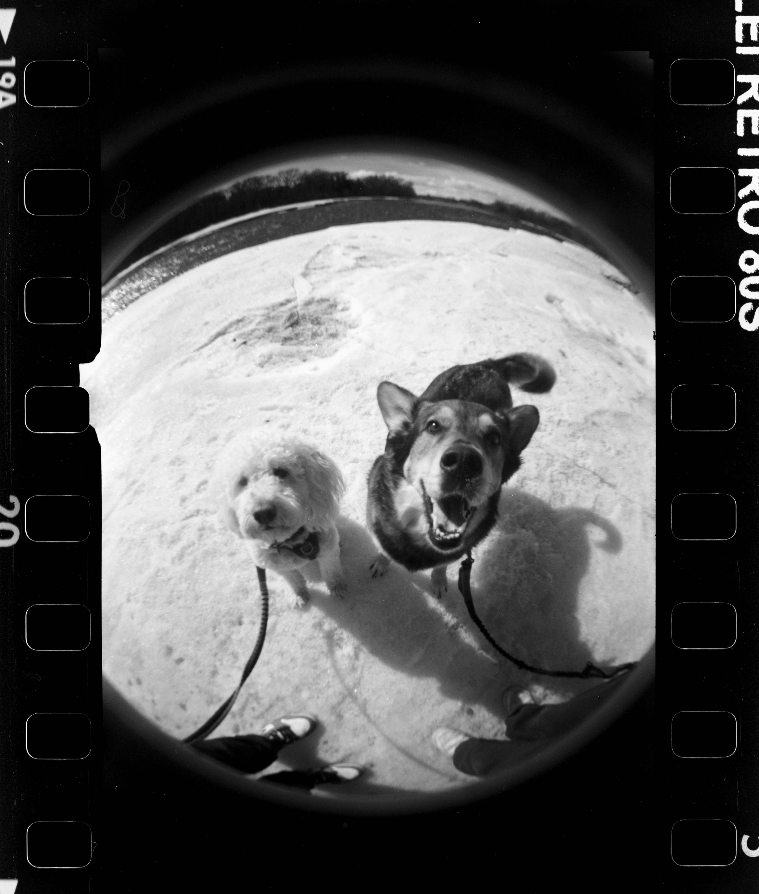 Haley's Cute Animals of the Week! - Neat Film Lab