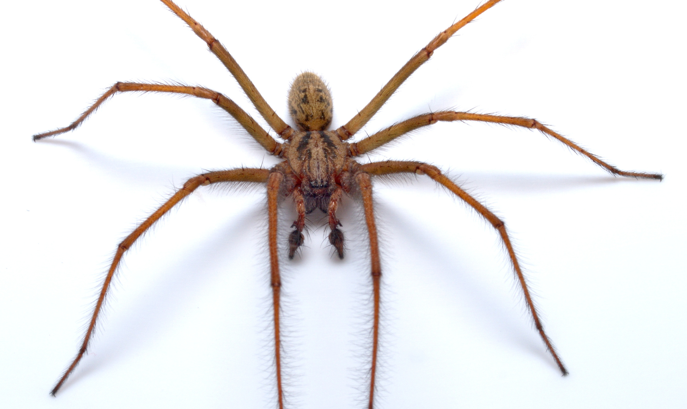 What To Look For In November - by David Bocking