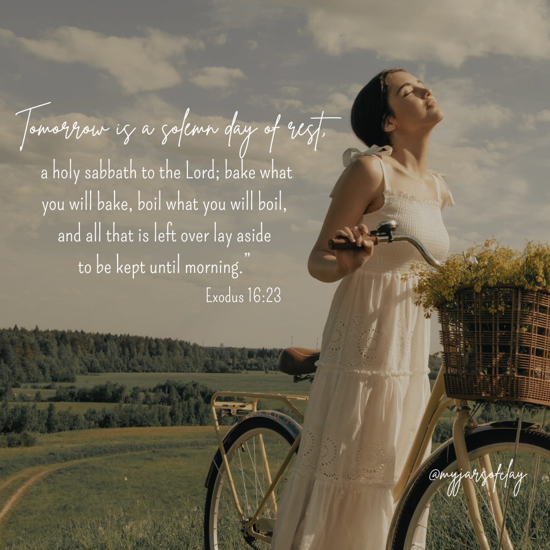 JESUS IS OUR TRUE REST - by Amber Palmer