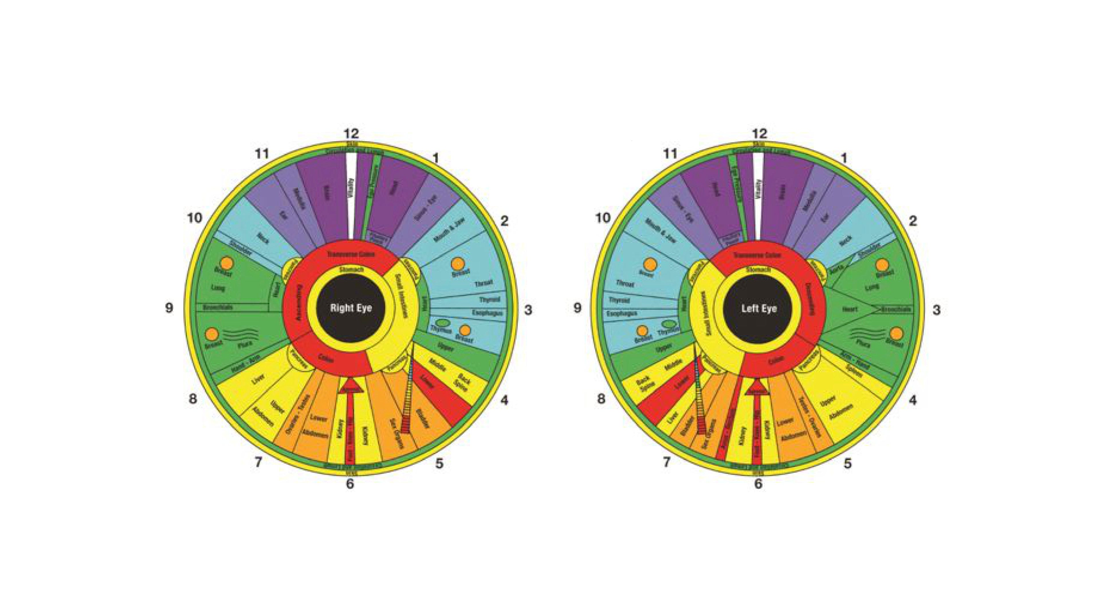 IRIDOLOGY: A Window Into Our Genetic Heritage