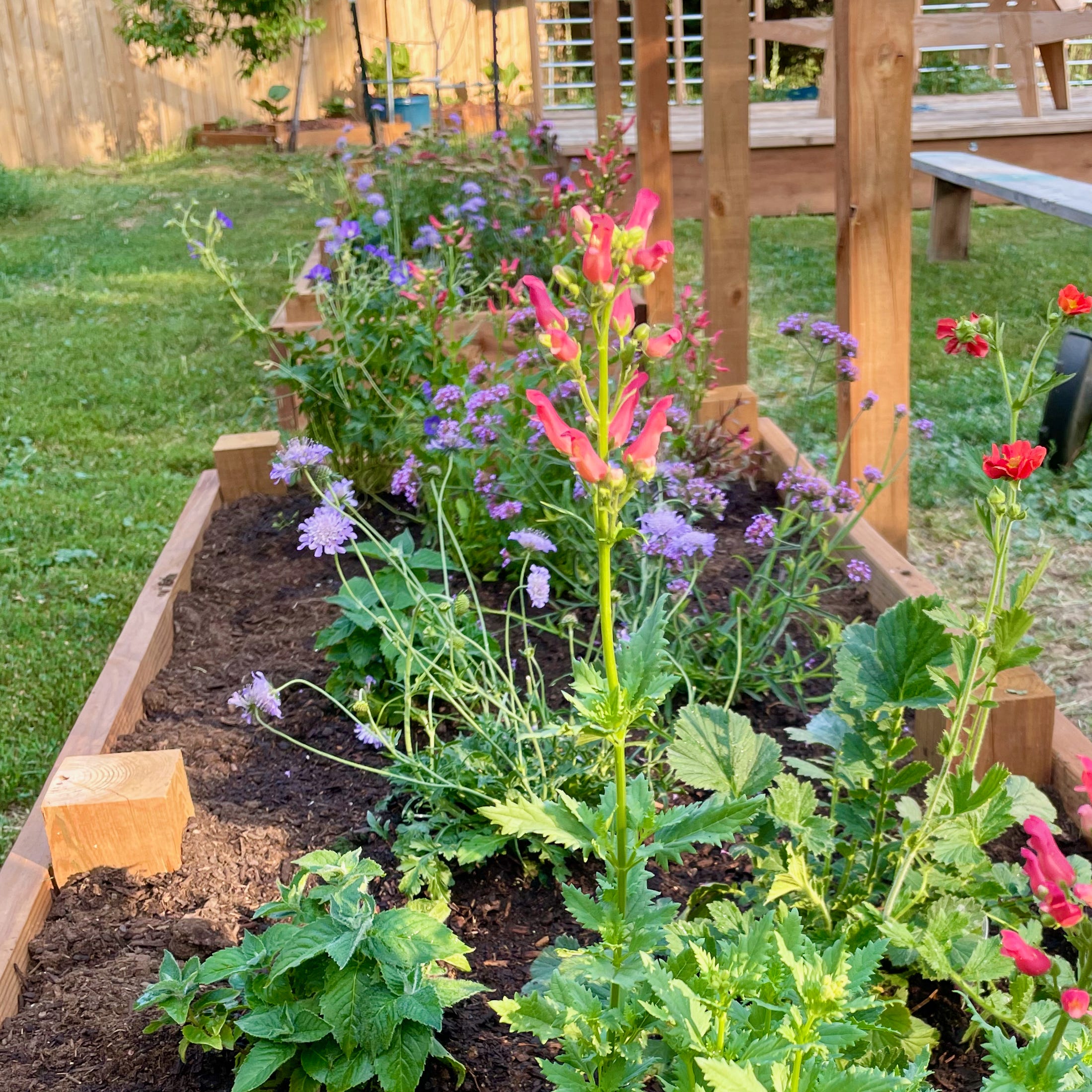 Starting Your First Garden: A Complete Guide for Beginners