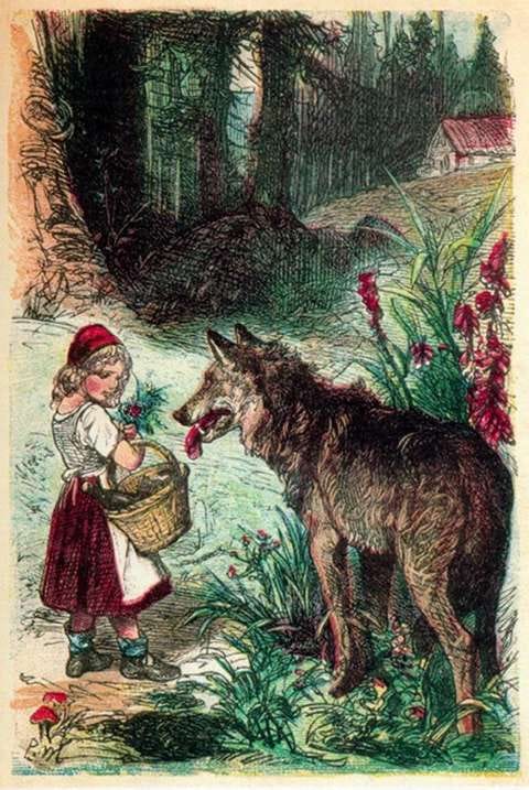 Red Riding Hood - Fairy’s Substack