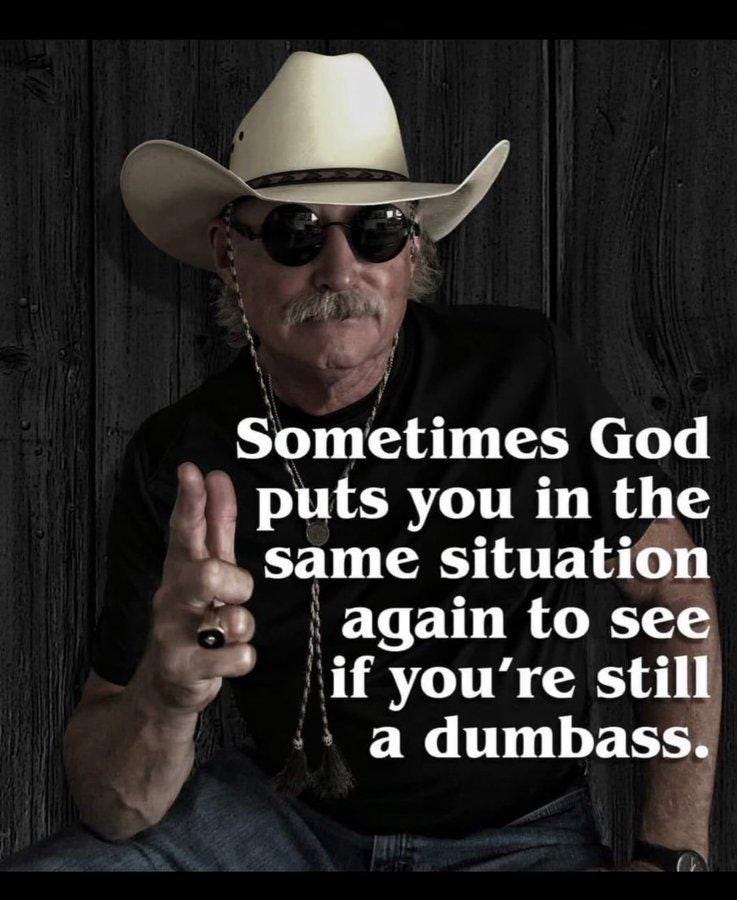 Ann Barnhardt - Edwin’s Newsletter #1