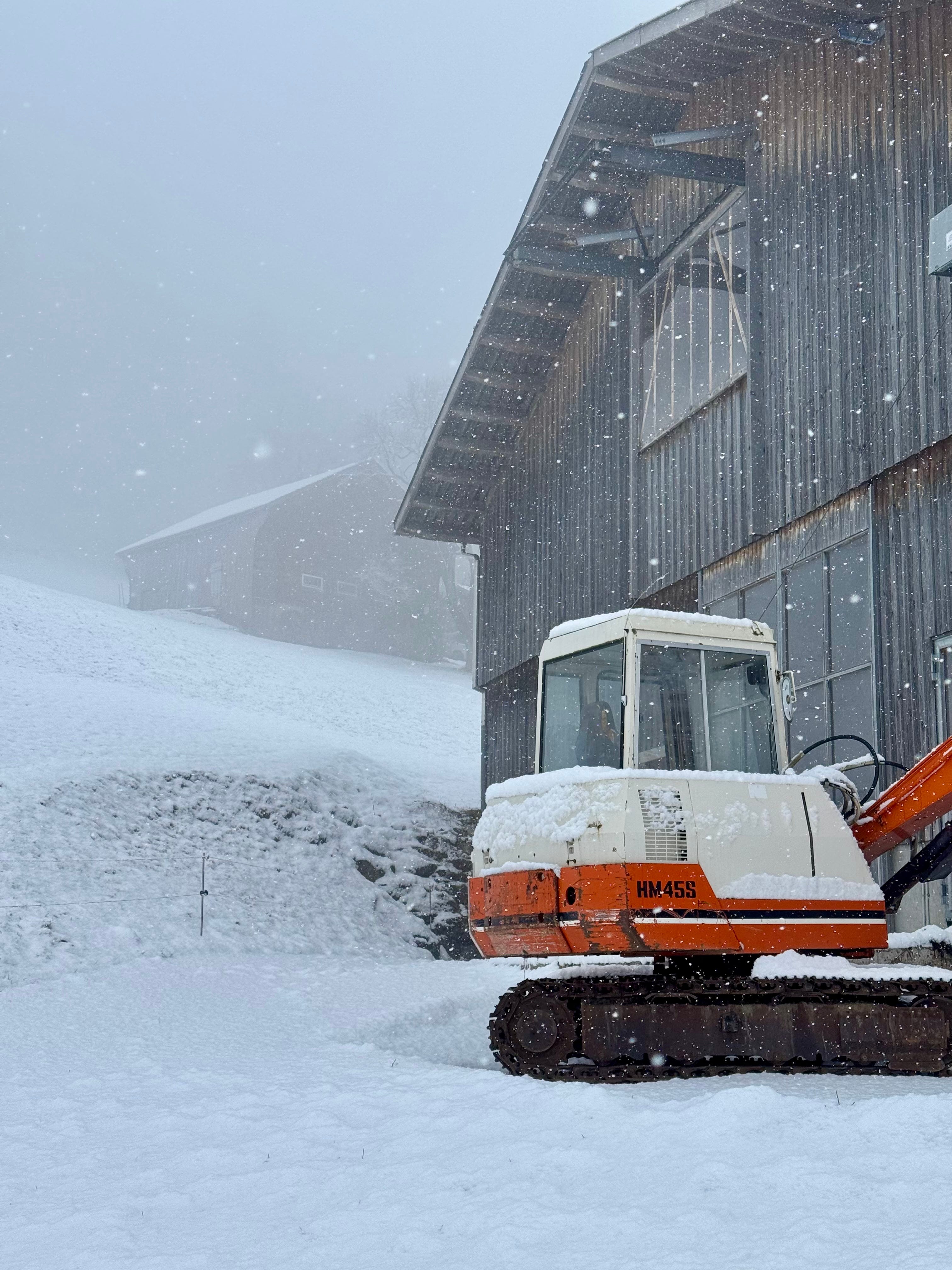 Impressions Of Winter. - by Cornelius Muller