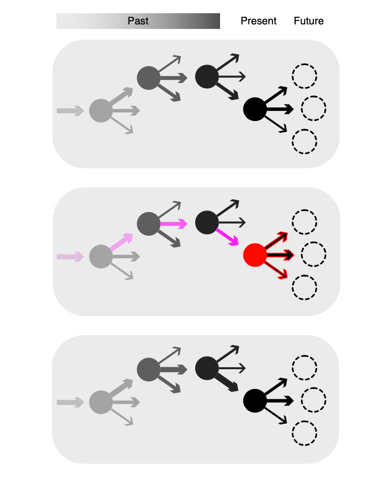 Dopamine: Everything you need to know