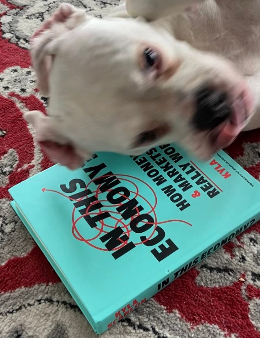 In This Economy Book: The Why and How - by kyla scanlon