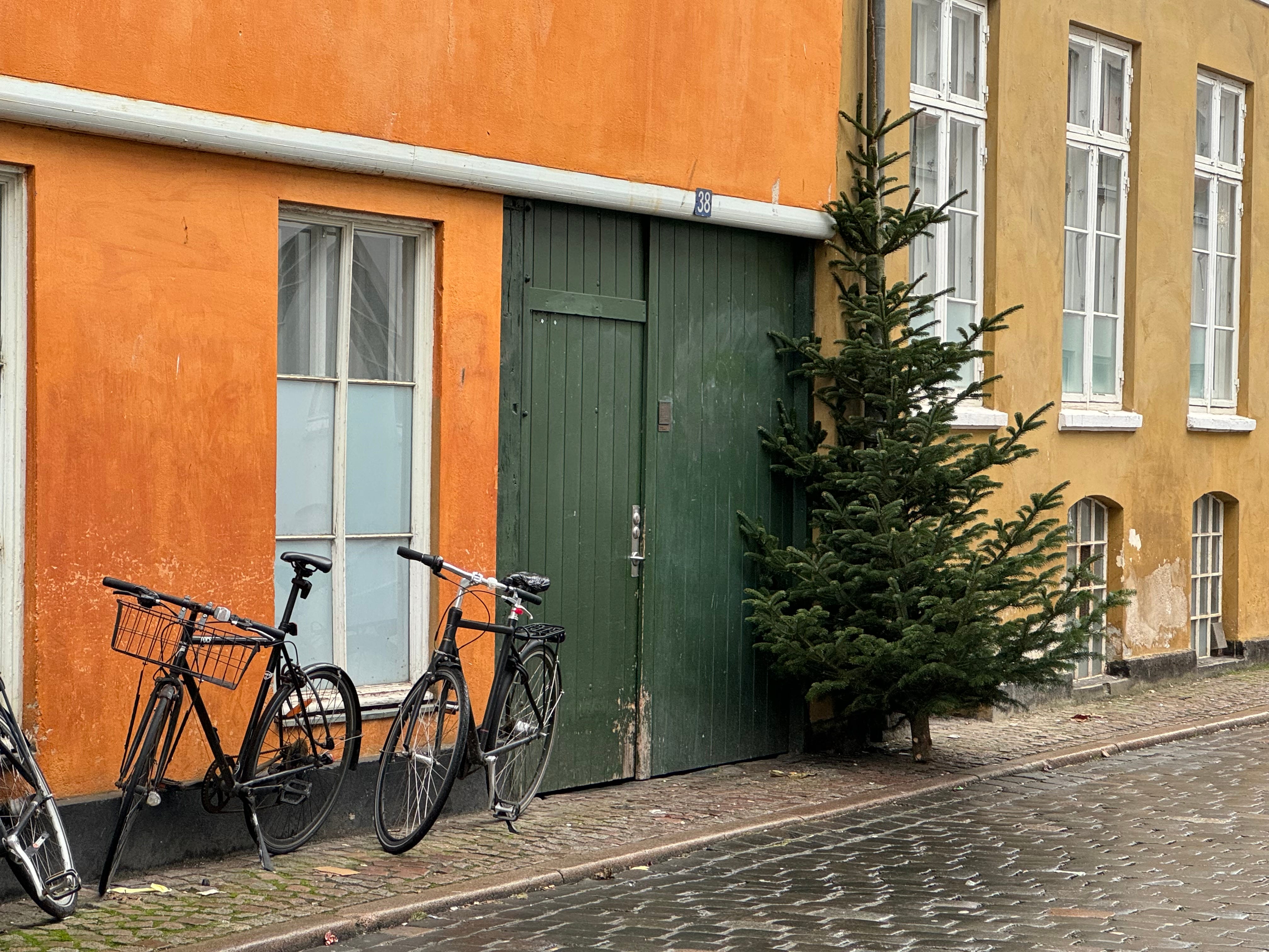 The Danish IQ Test, Third in a Series - by Meg Fischer