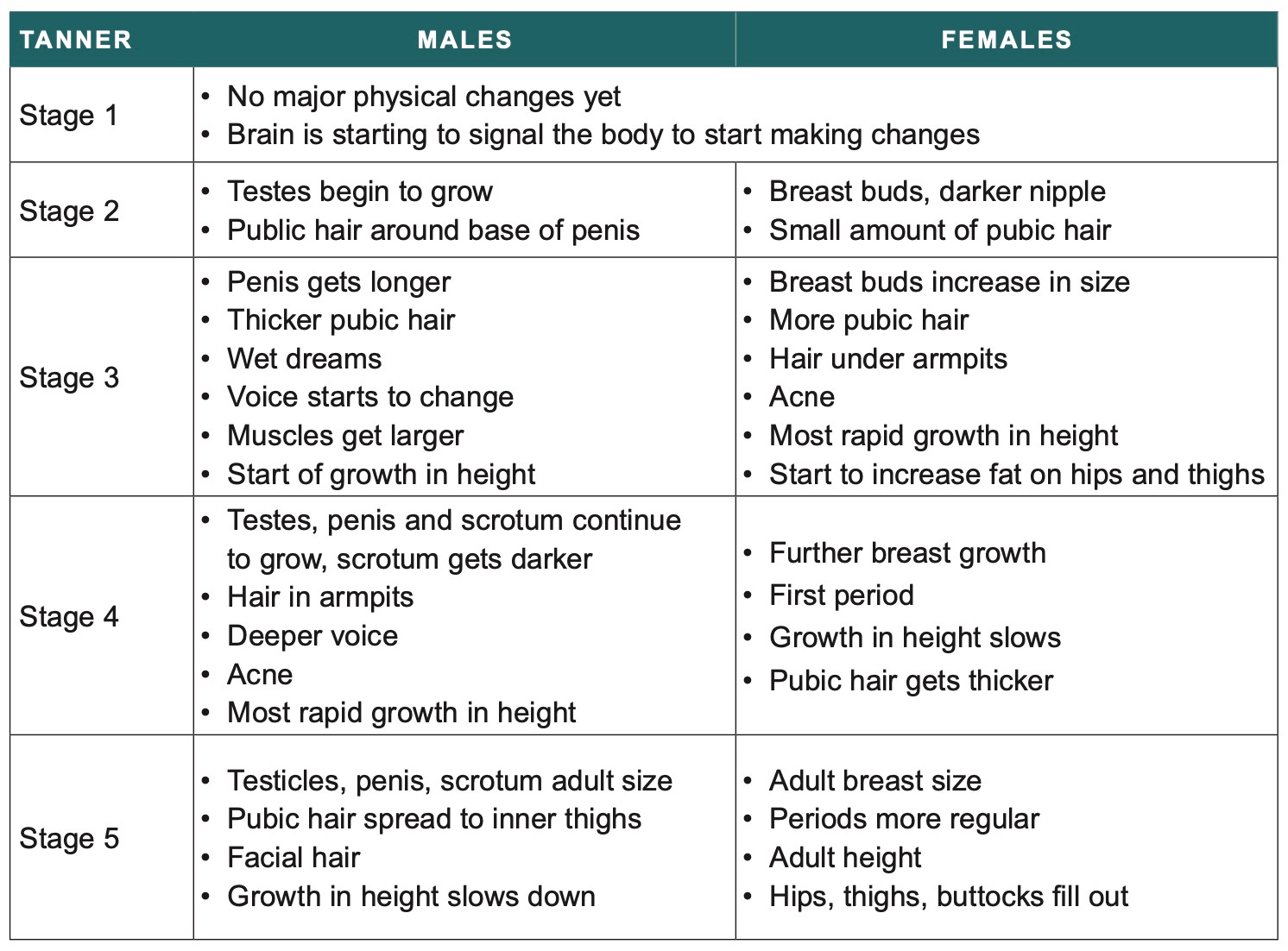 Speed offence - by Bernard Lane - Gender Clinic News
