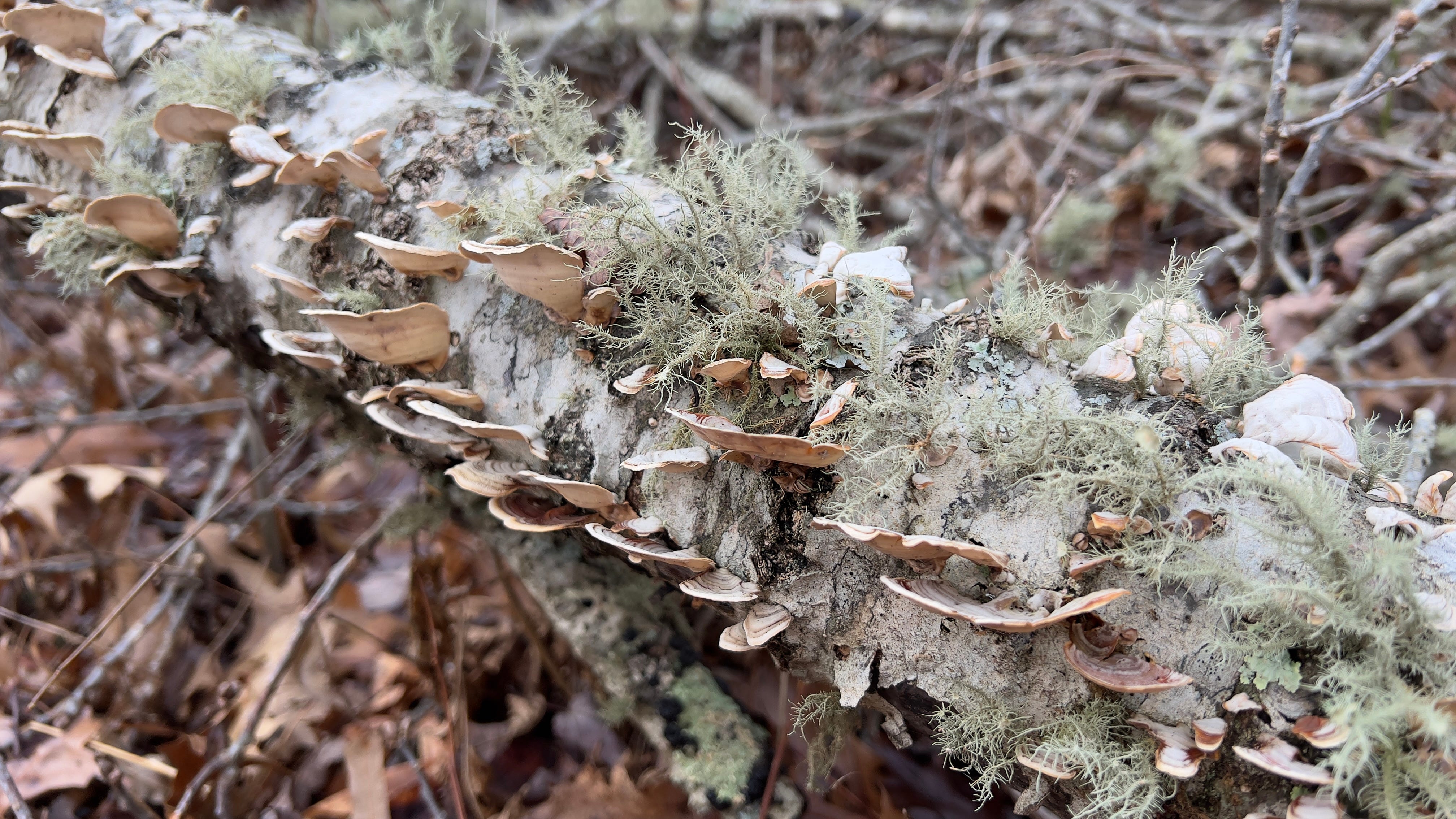 12/31/2023 - by Sara Sheehy - A Wild Year