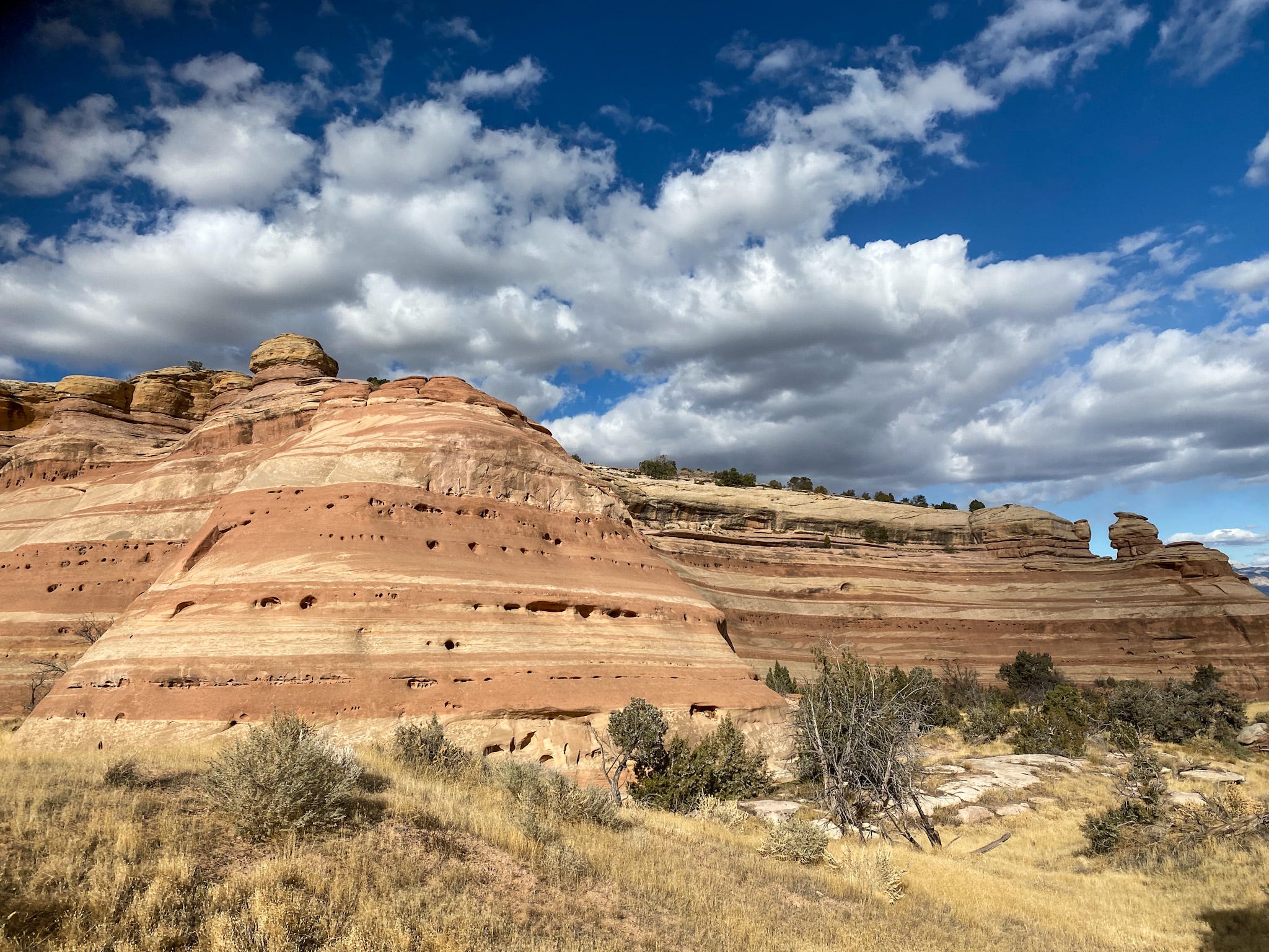 Diffeomorphisms of the Worldsheet - by Sean Downes