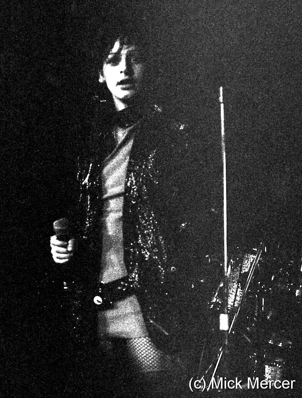 ON THIS DAY ... in 1978 - THE SLITS!