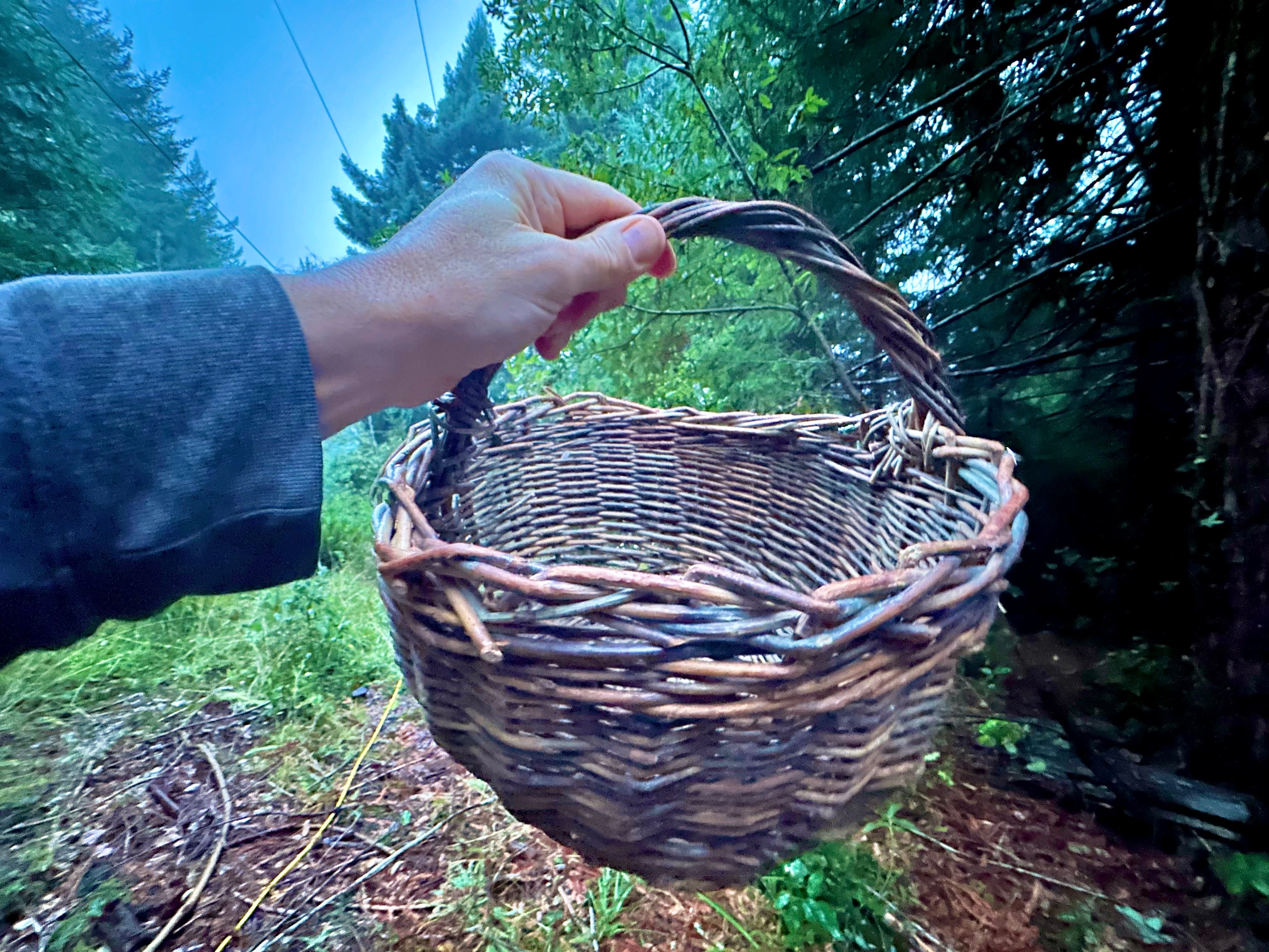 What vows are you putting in your sacred basket today?
