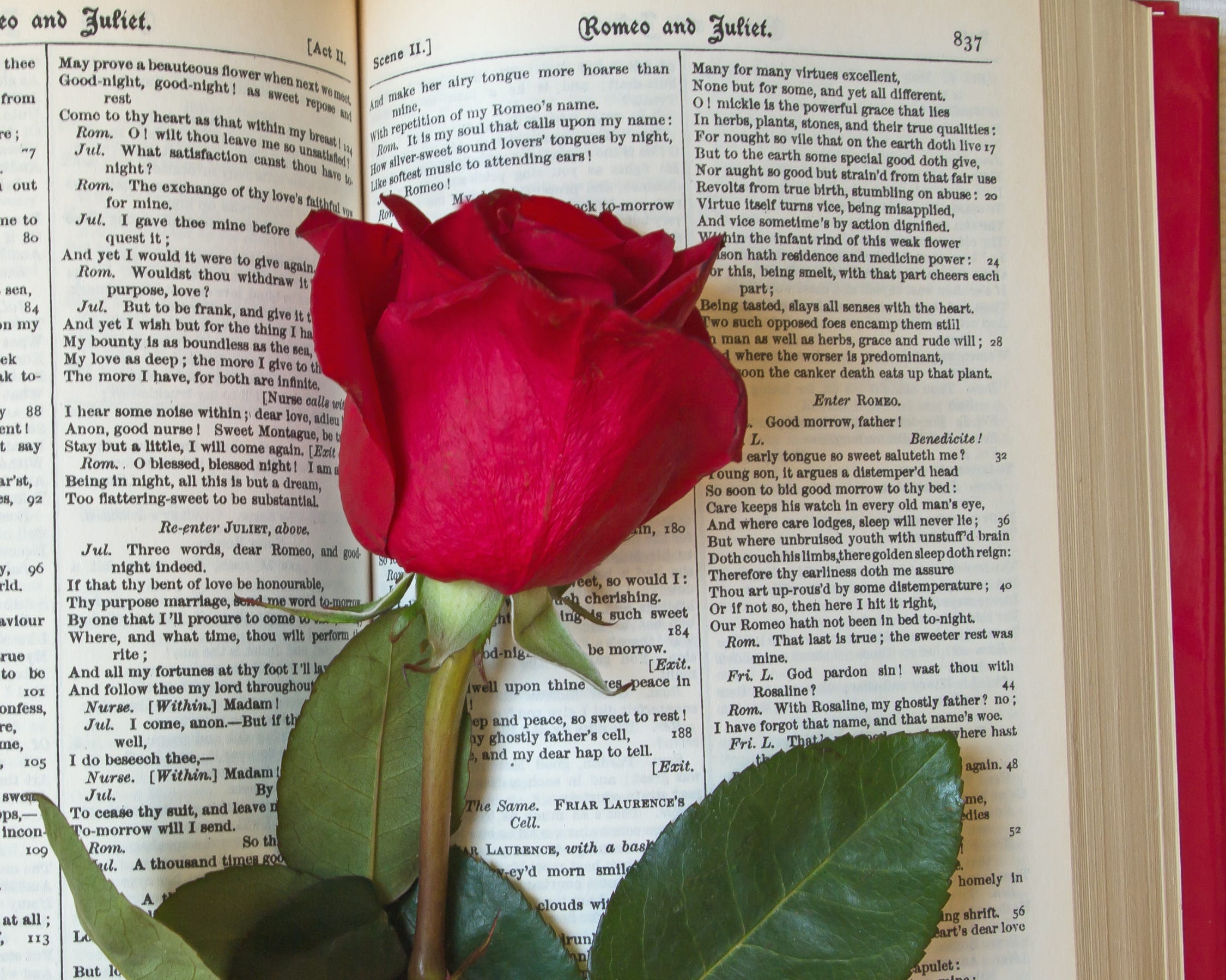 What's In A Name? - by Nona Morrow - The Field