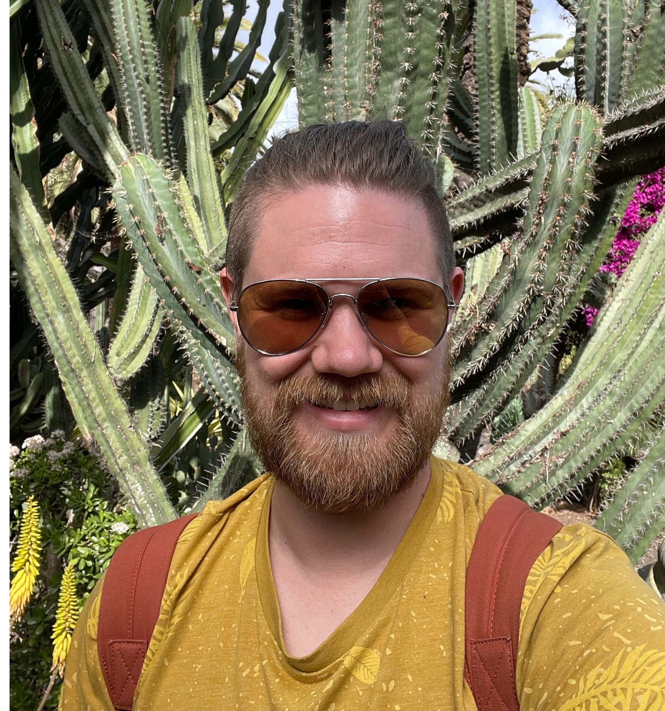 Sven Balnojan PhD | Substack