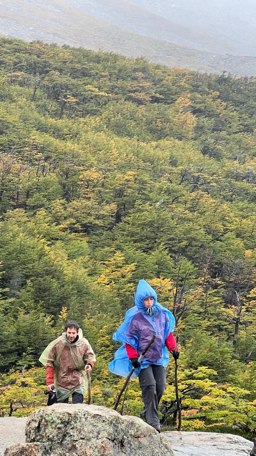 Fuerza bruta - by Claudia Castaño - Claudia’s Substack