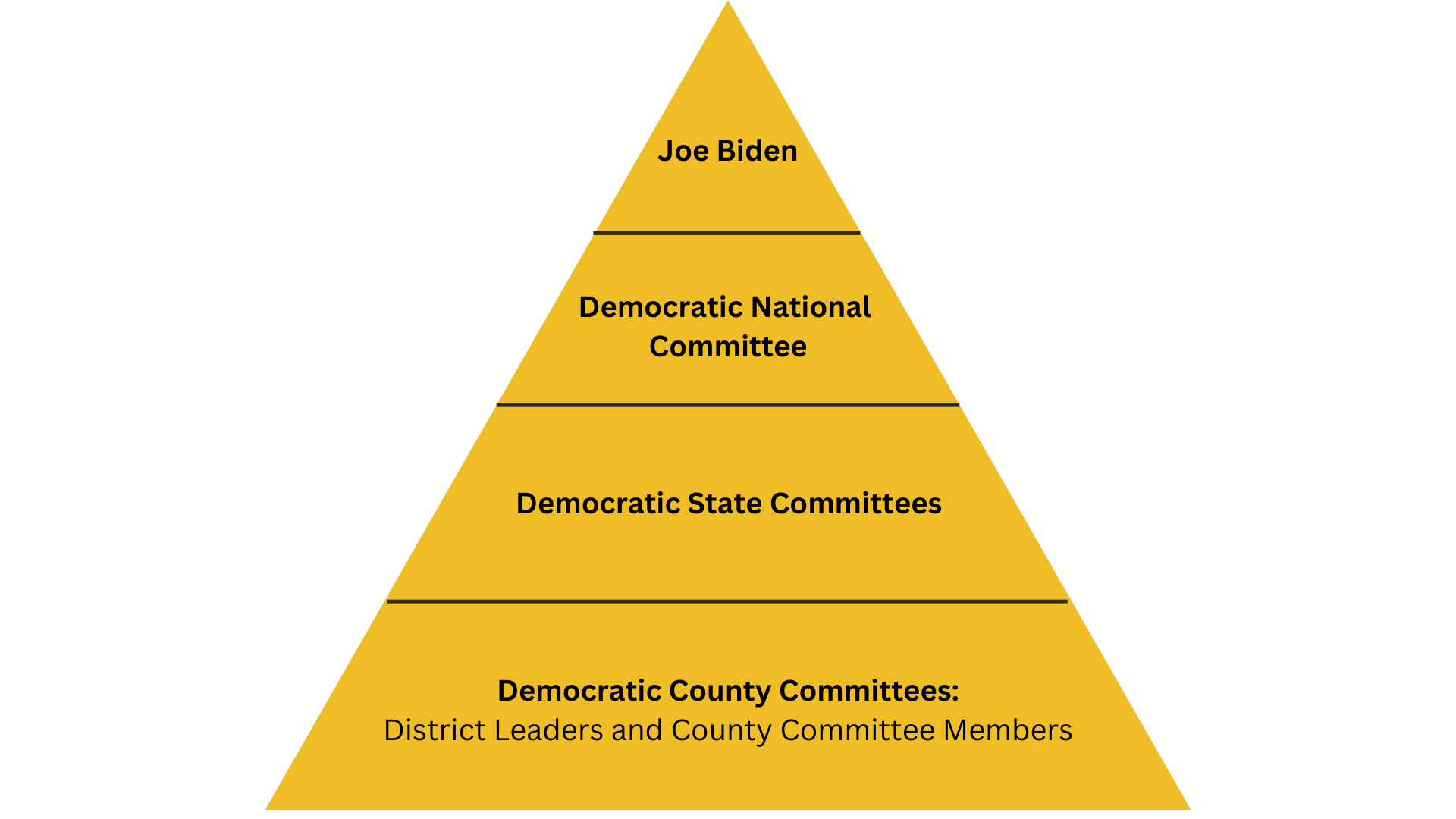 How Does the Democratic Party Work? A Guide to County Committees and ...