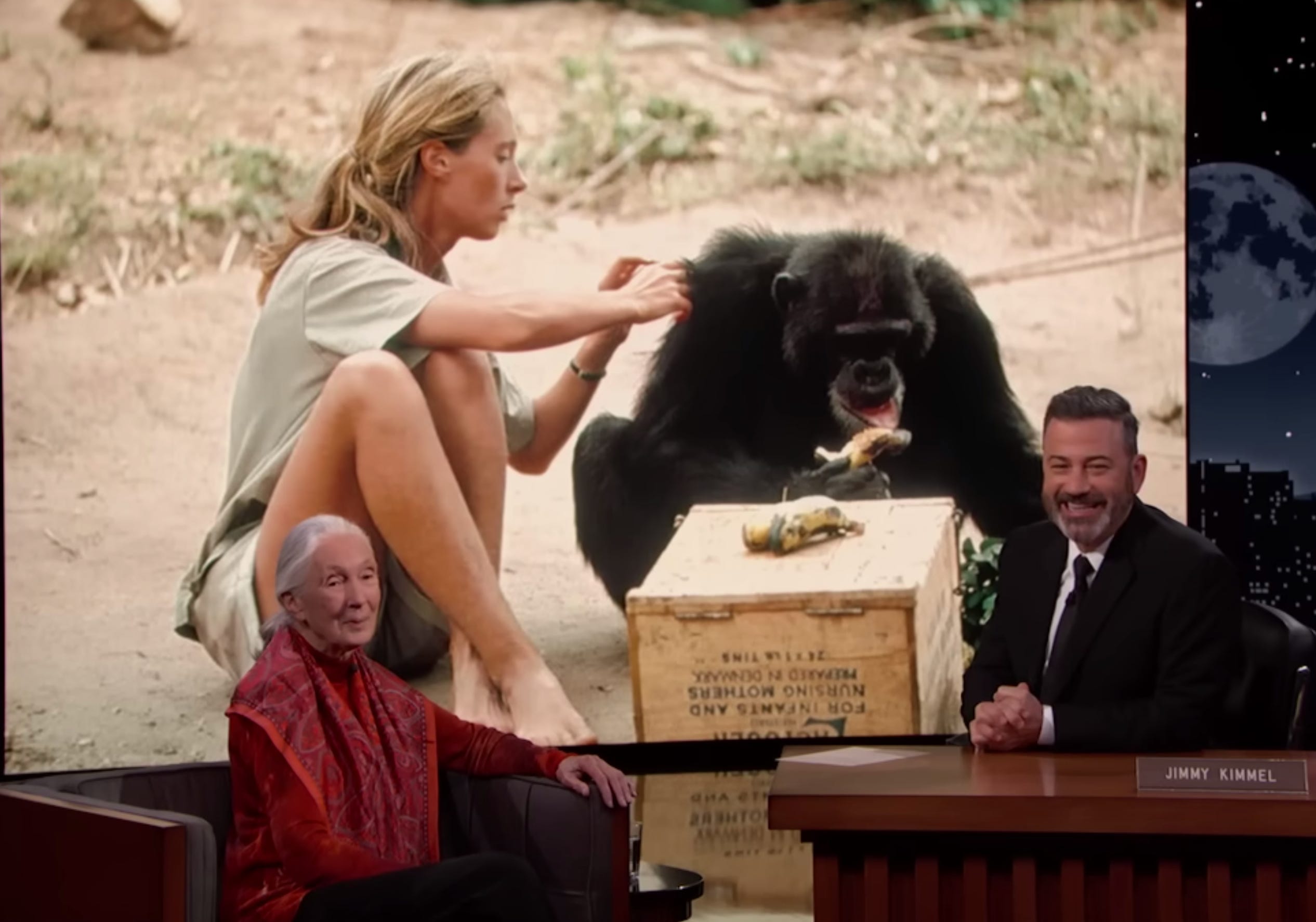 The Magnificent Jane Goodall - by Karen Sandstrom