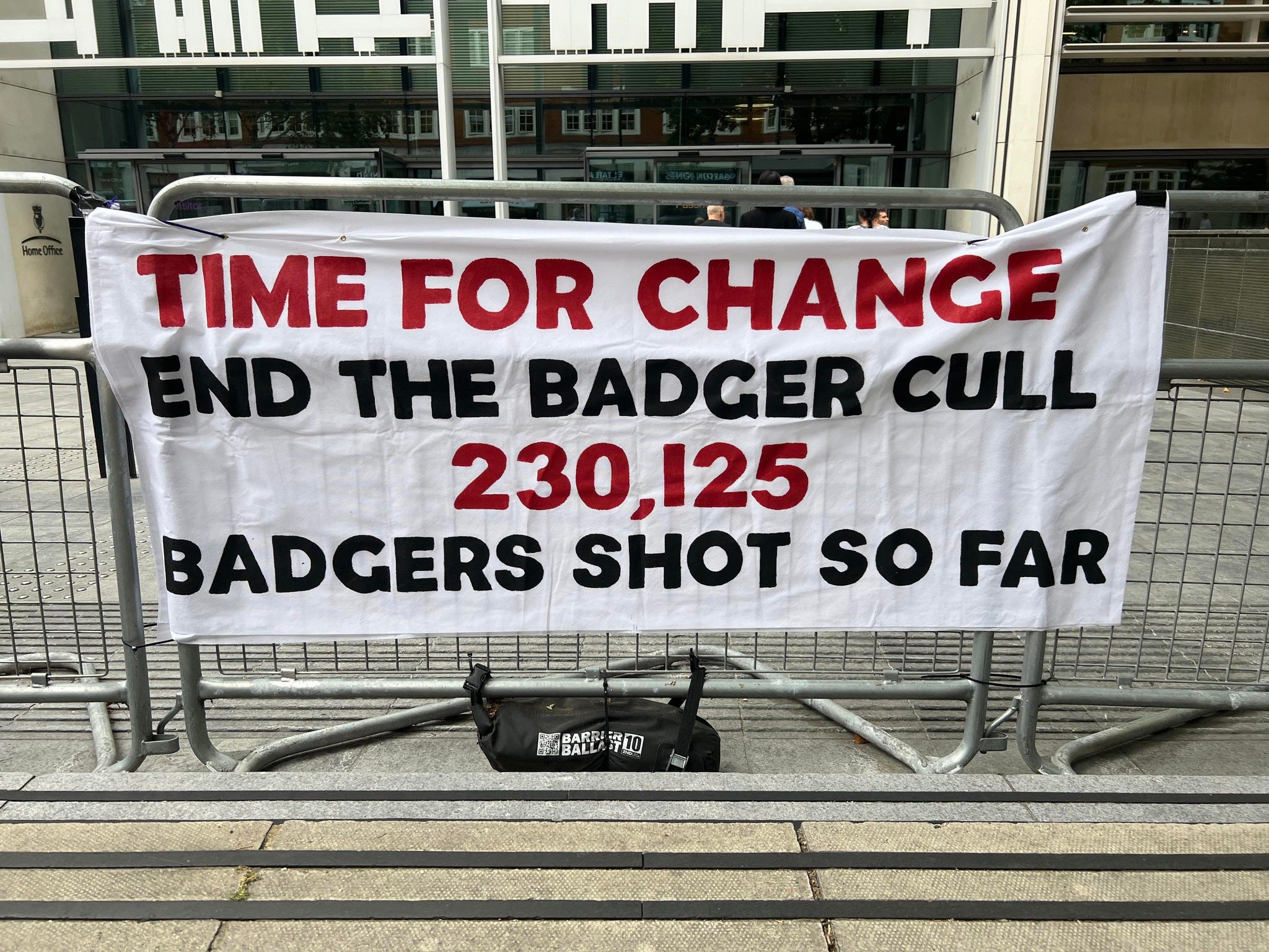 Yet more pressure put on DEFRA to end the senseless Badger cull!