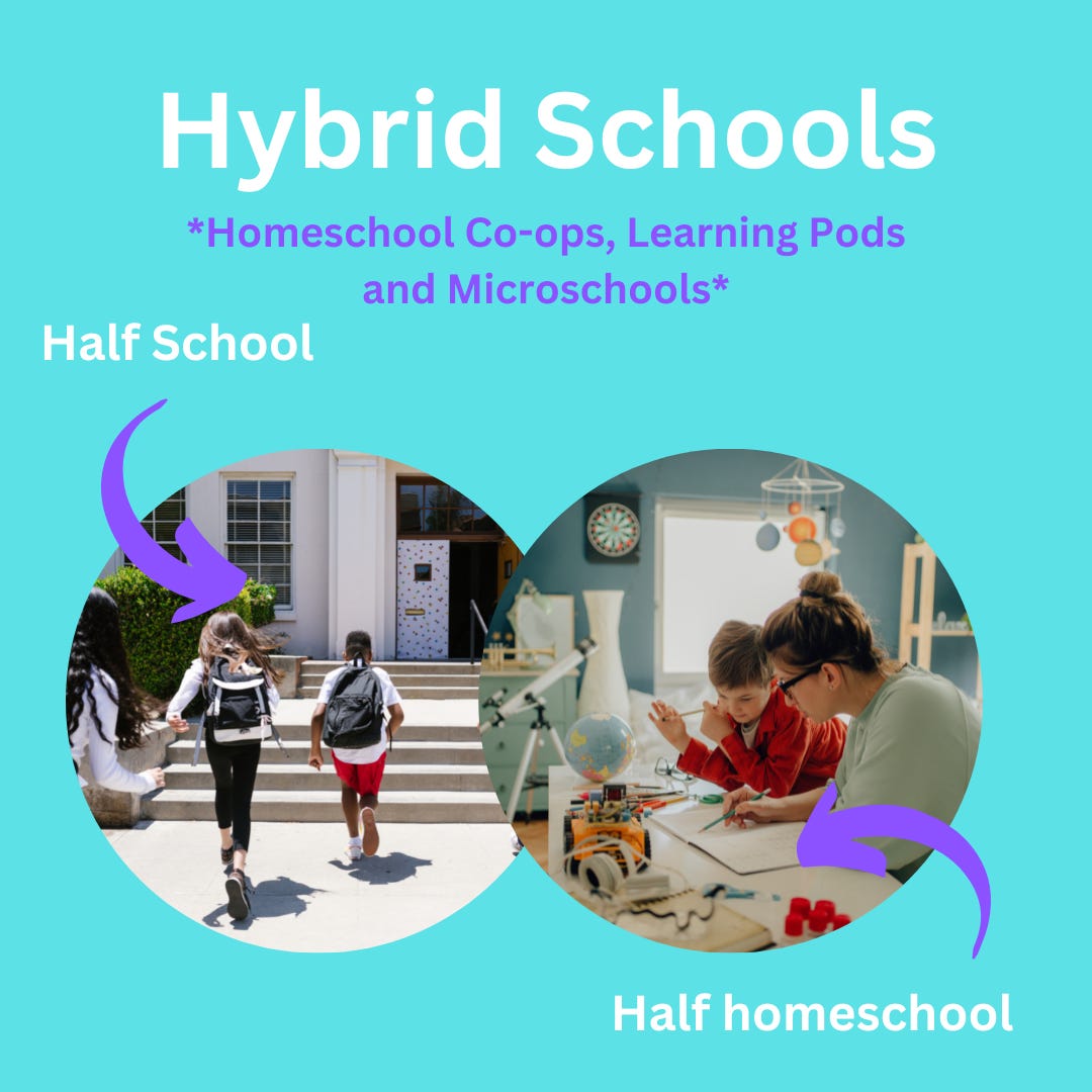 🏡 Homeschool Programs: Classes, Co-ops, Microschools and more...