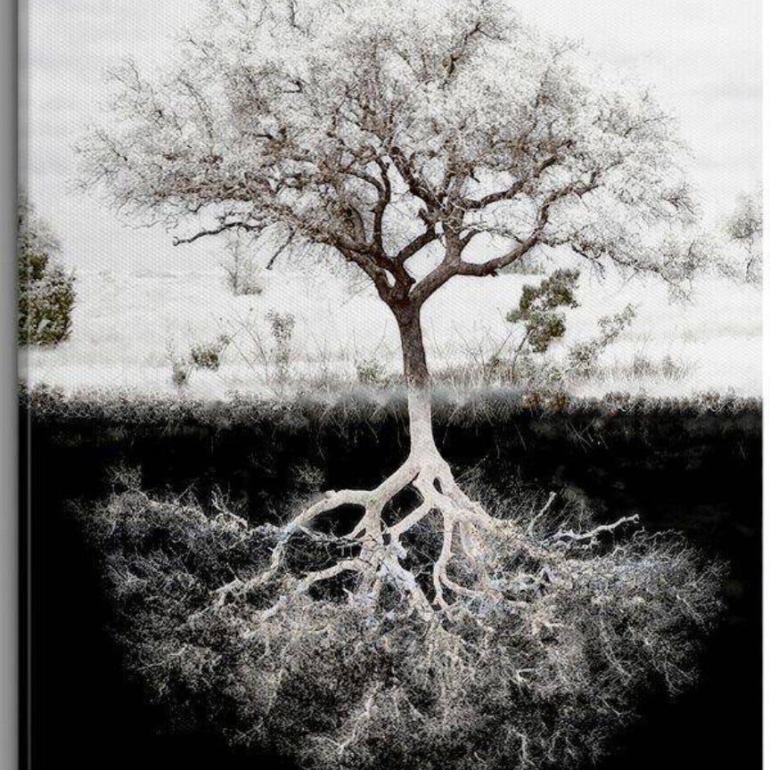 POSIZIONE ESATTA VIDA LOCA SESTAS ANDREA SALVATORE BUFFA