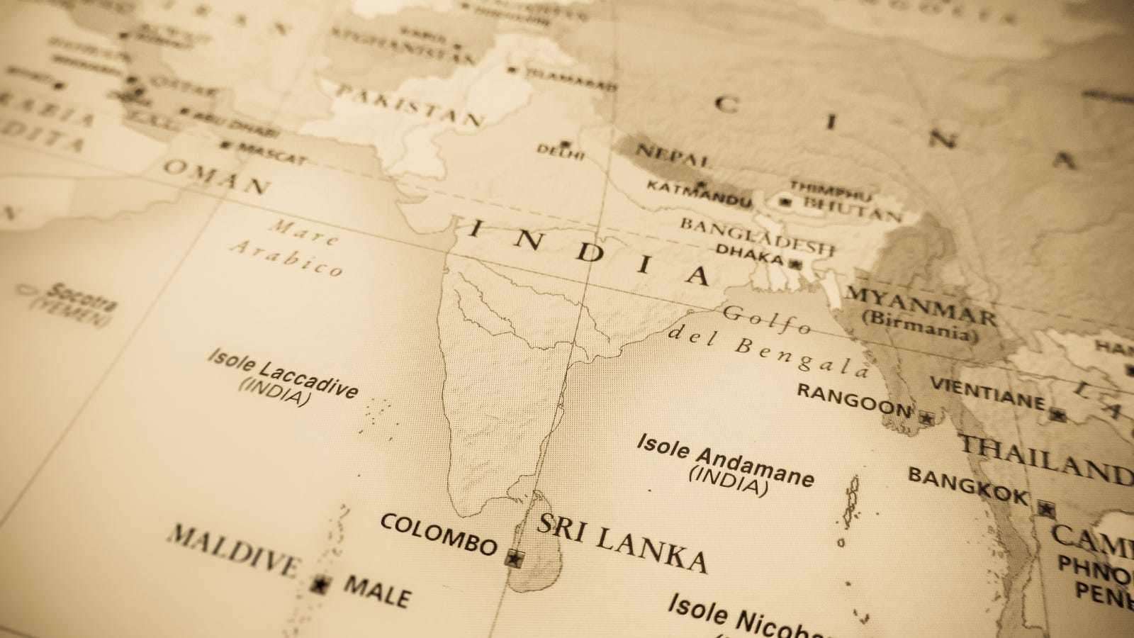 The genius of ginger - by Cassandra Quave