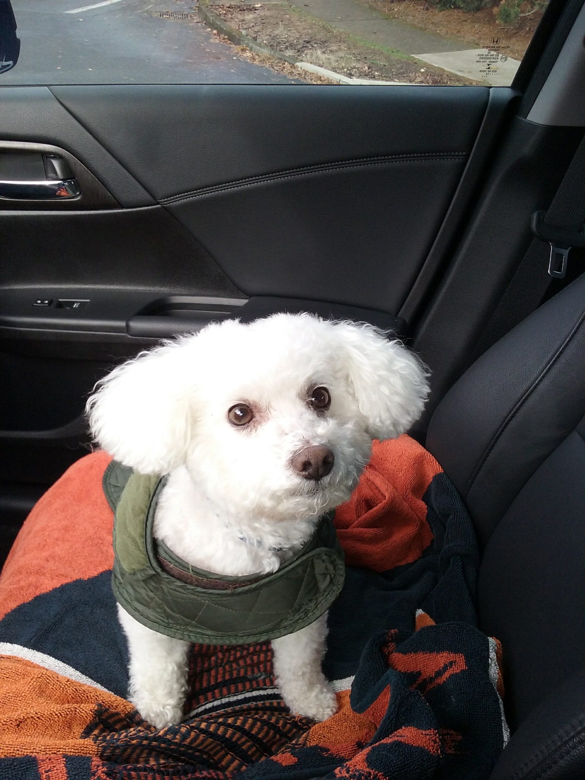 Kathleen Fullerton | Substack